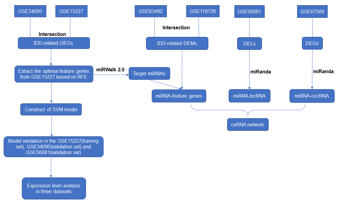 Integrating multiple microarray dataset analysis and machine learning methods to reveal the key ...