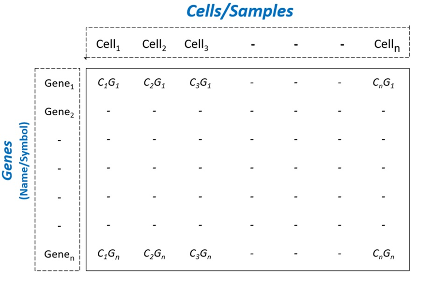 BingleSeq: a user-friendly R package for bulk and single-cell RNA-Seq data analysis [PeerJ]