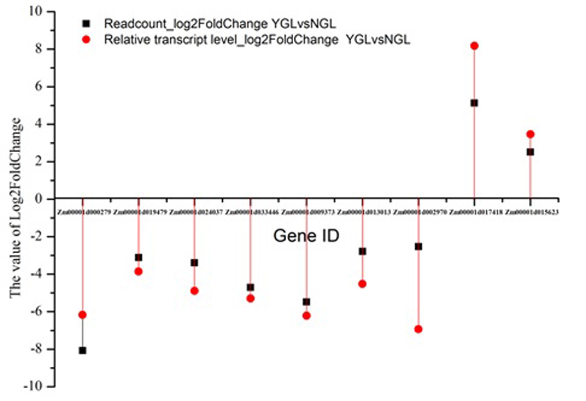 Comparative Transcriptome Analysis Of Differentially Expressed Genes