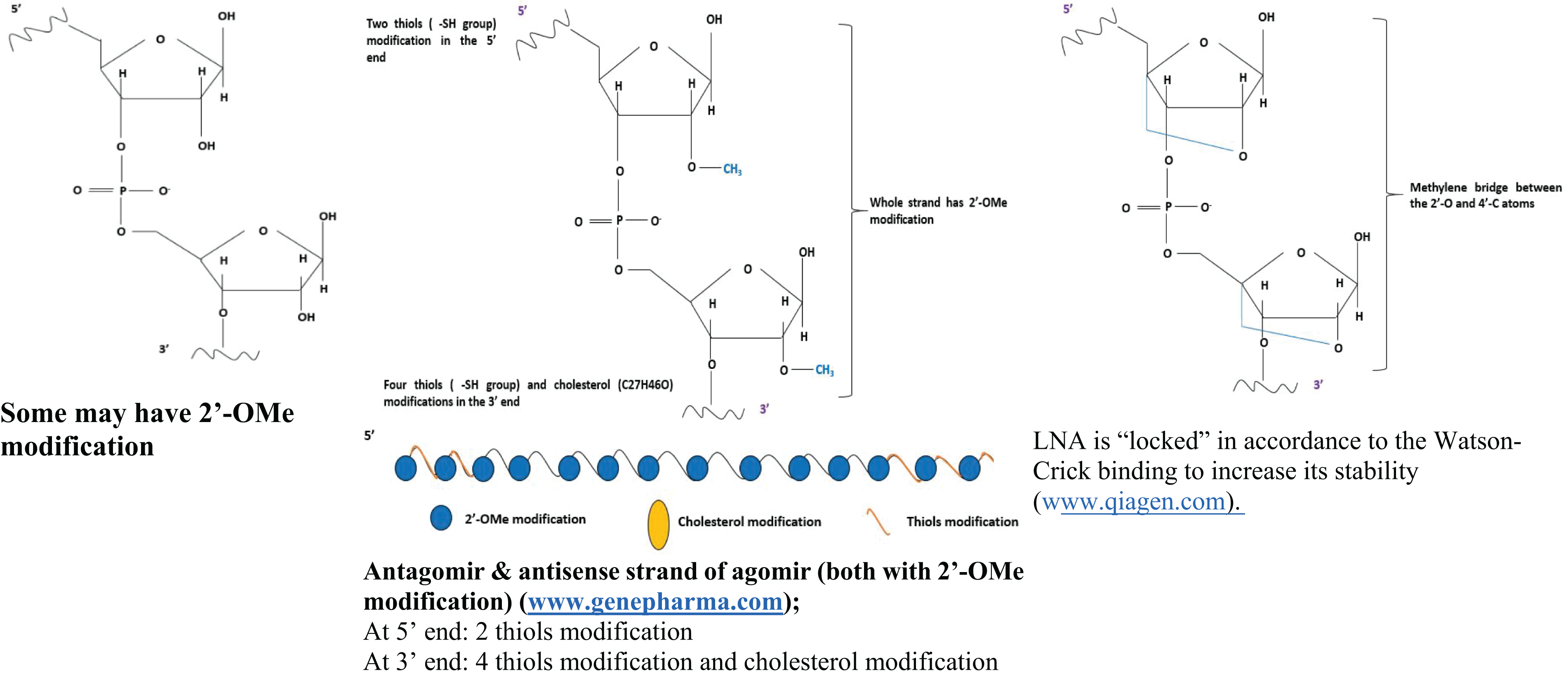 Transfection types, methods and strategies: a technical review [PeerJ]