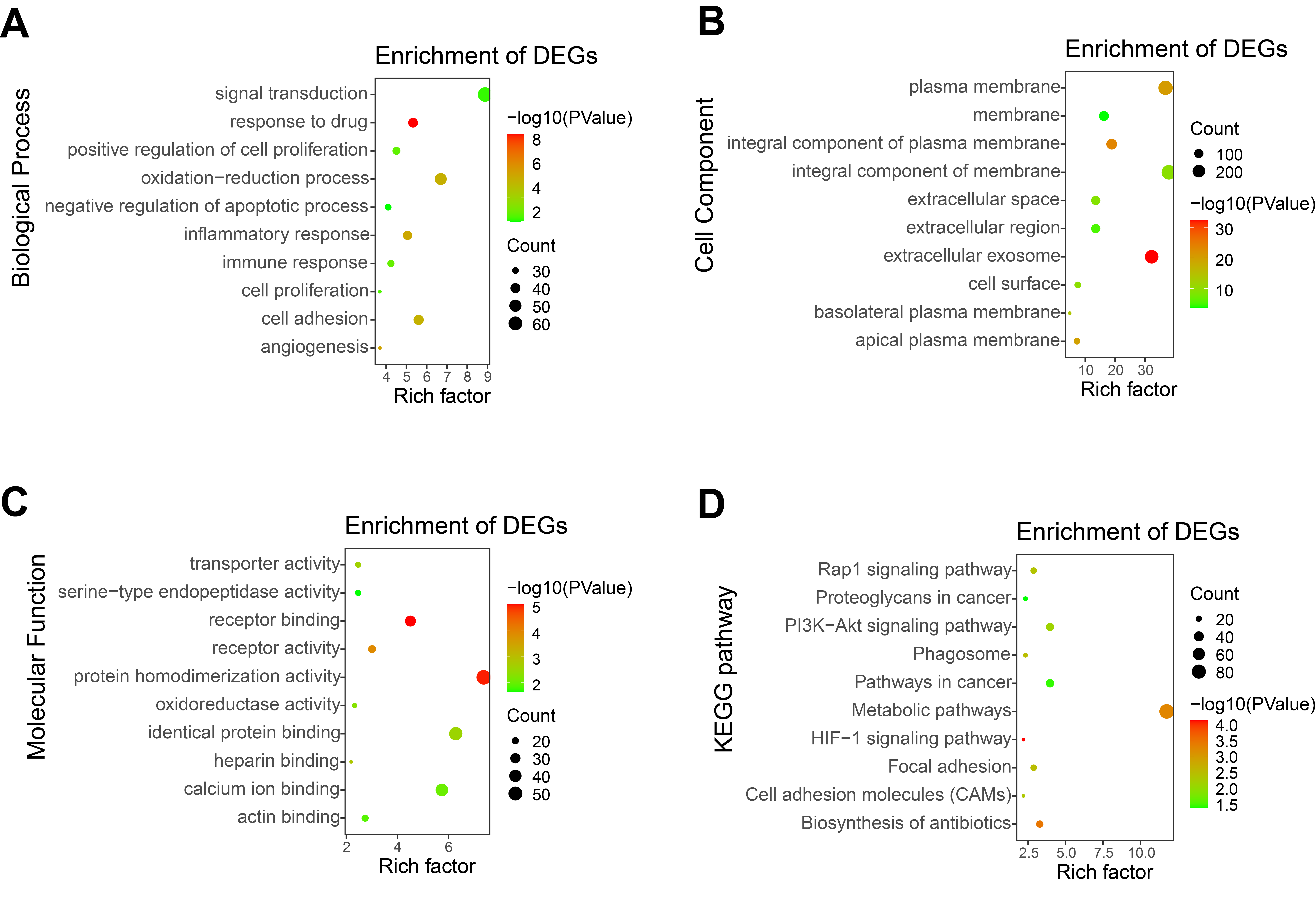 Prediction and analysis of novel key genes ITGAX, LAPTM5, SERPINE1 in ...