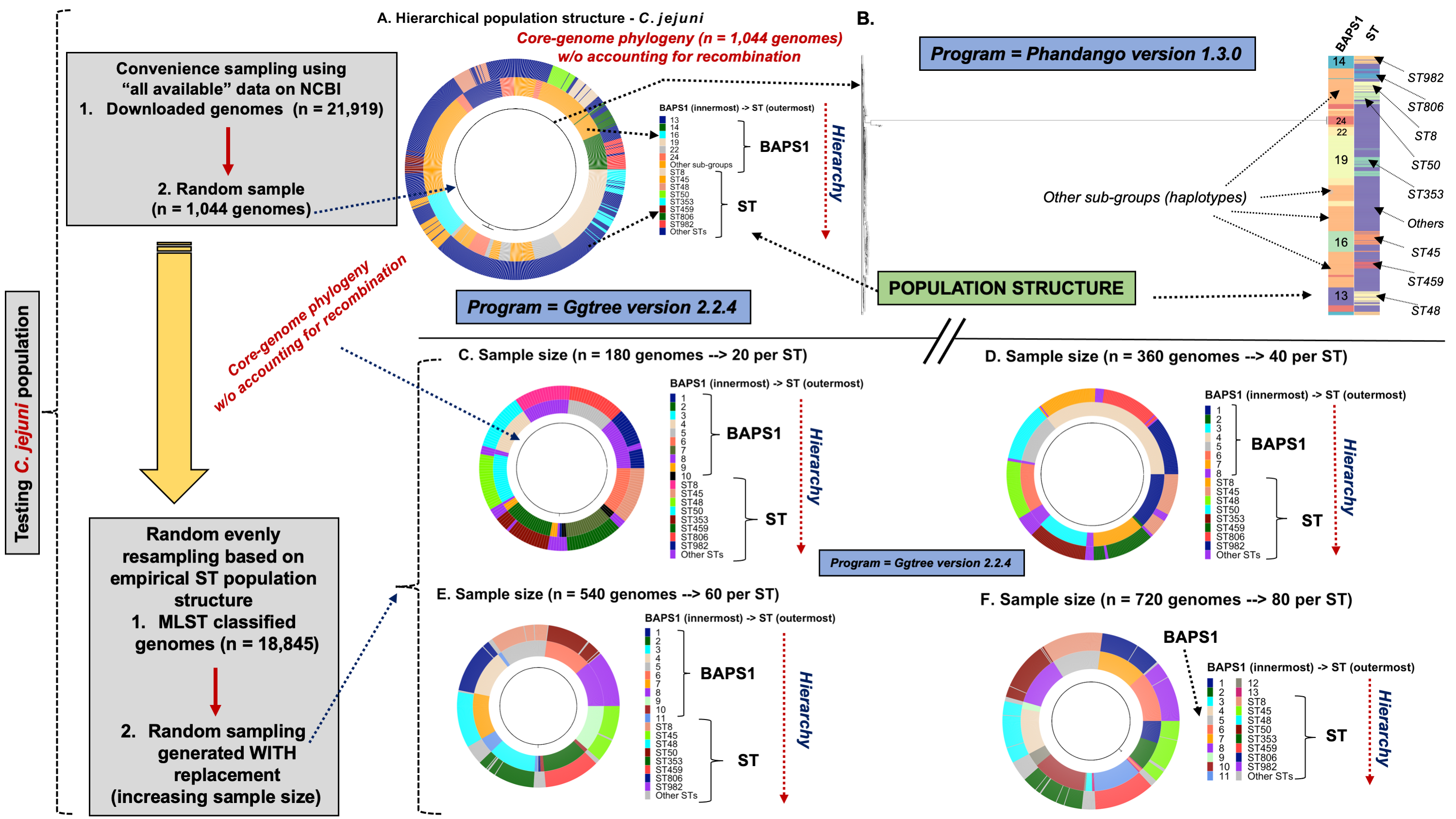 ProkEvo: an automated, reproducible, and scalable framework for high ...