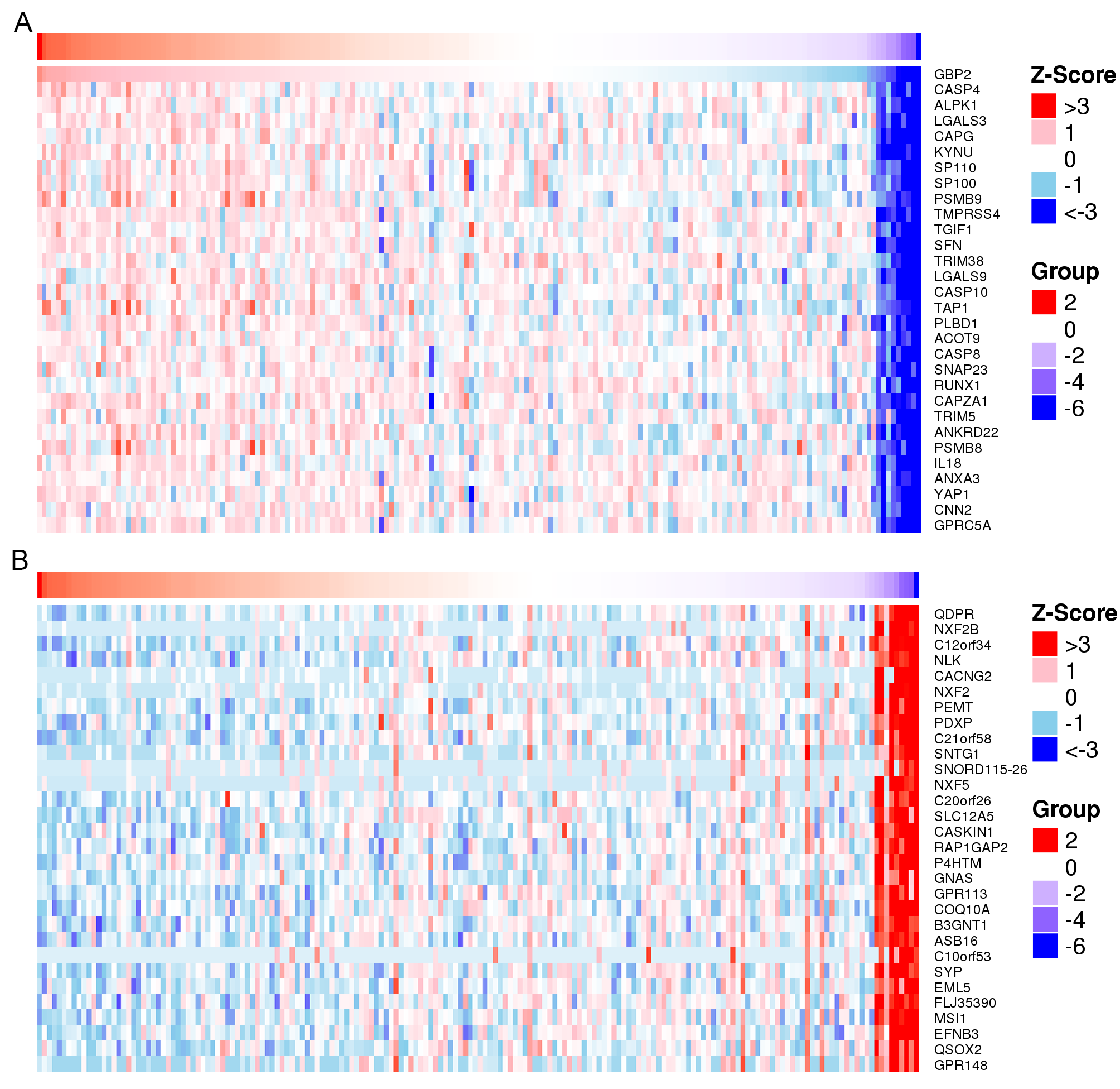GBP2 as a potential prognostic biomarker in pancreatic adenocarcinoma ...