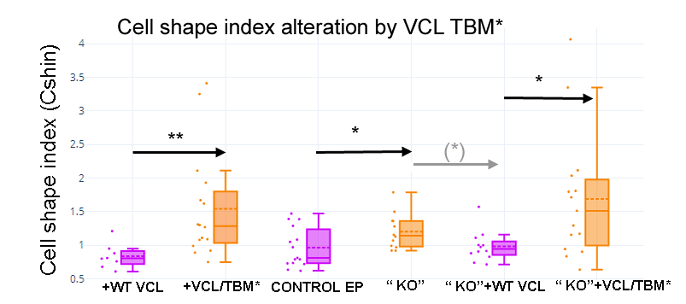 First body of evidence suggesting a role of a tankyrase-binding motif ...