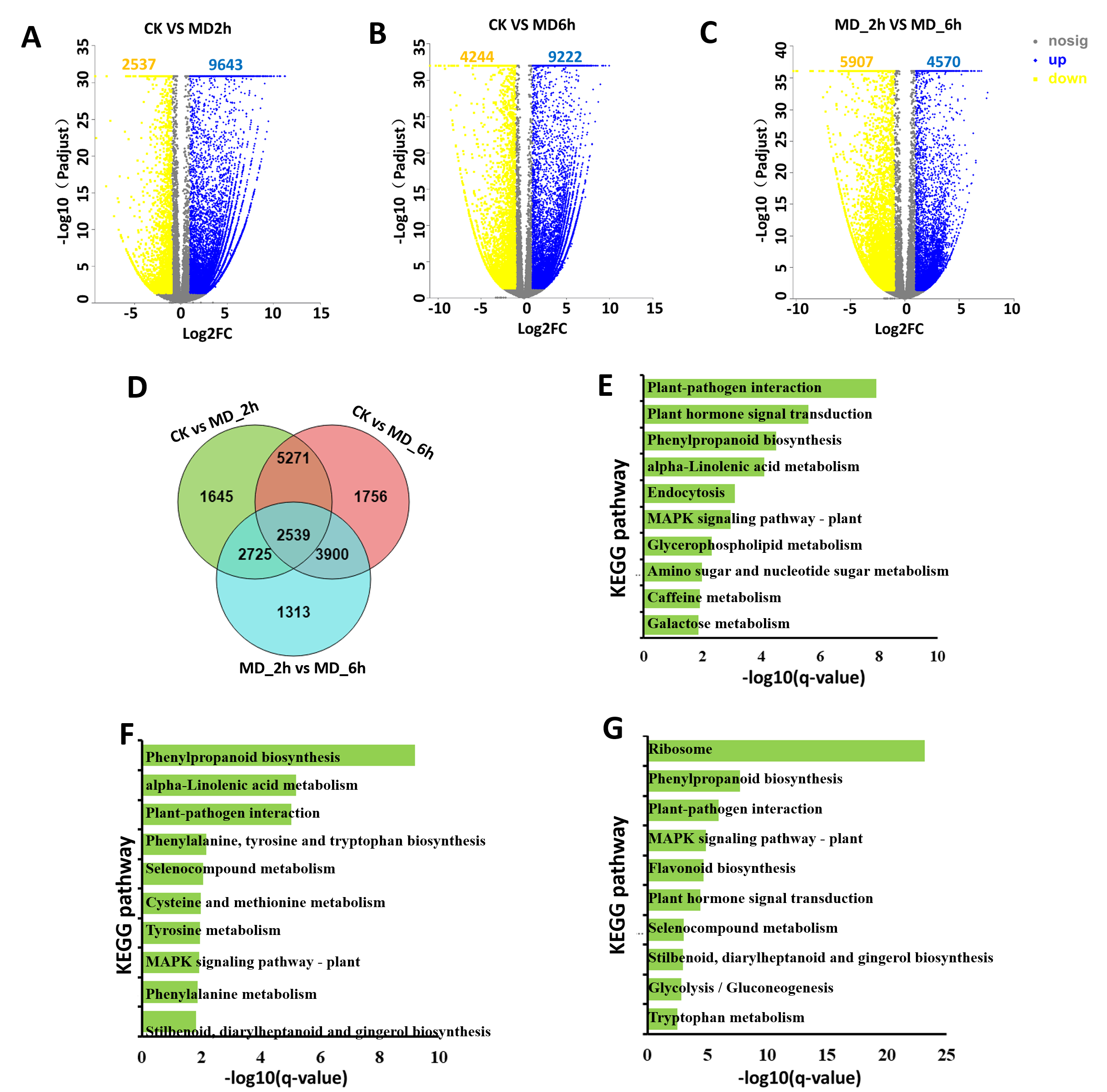 Metabolism and transcriptome profiling provides insight into the genes ...
