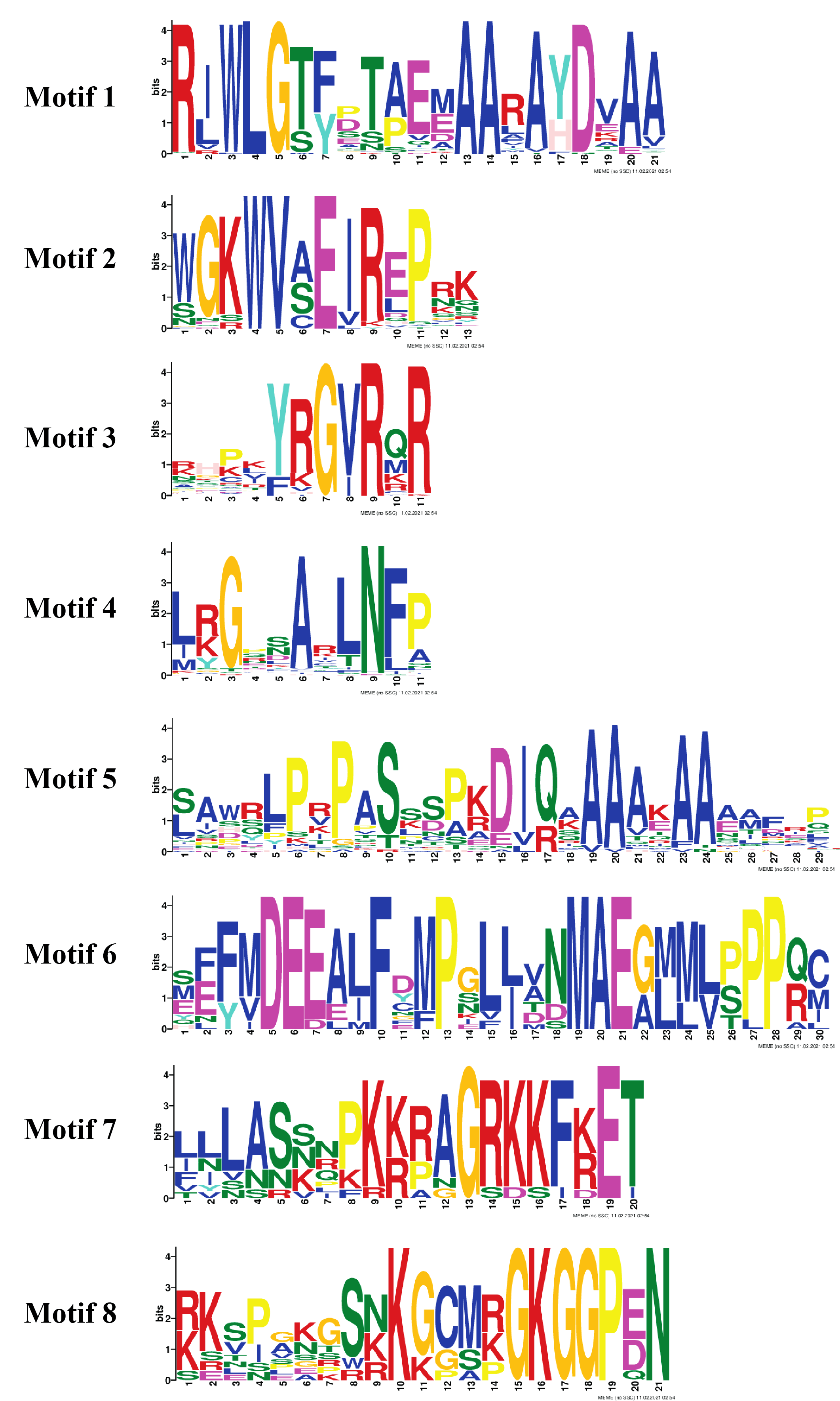 Genome-wide analysis, identification, evolution and genomic ...