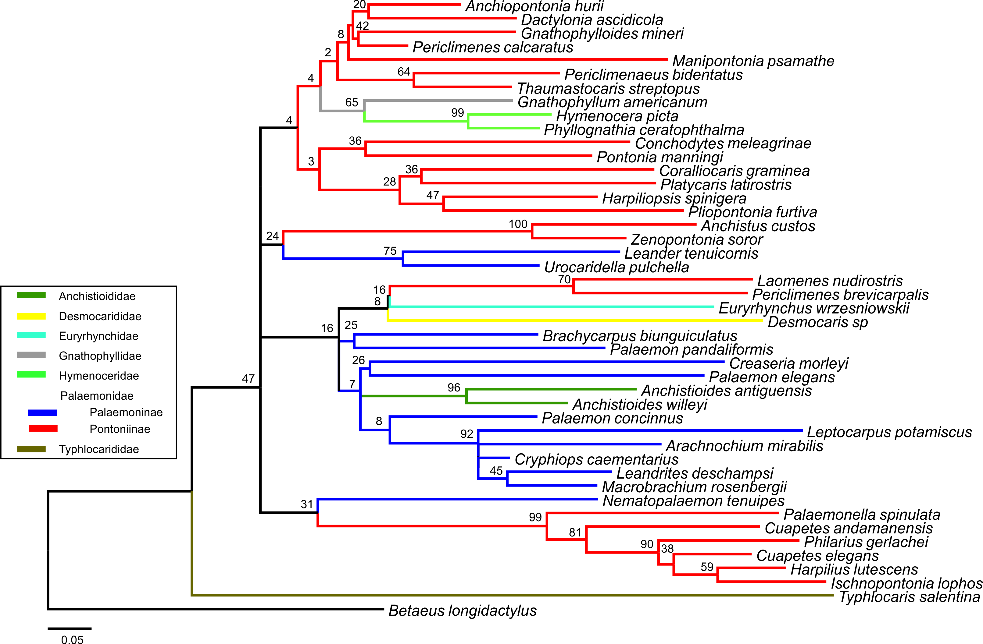 Let’s be pals again: major systematic changes in Palaemonidae ...