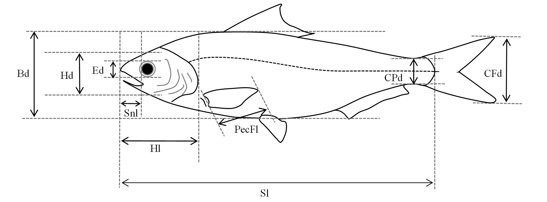 How fish traits and functional diversity respond to environmental ...