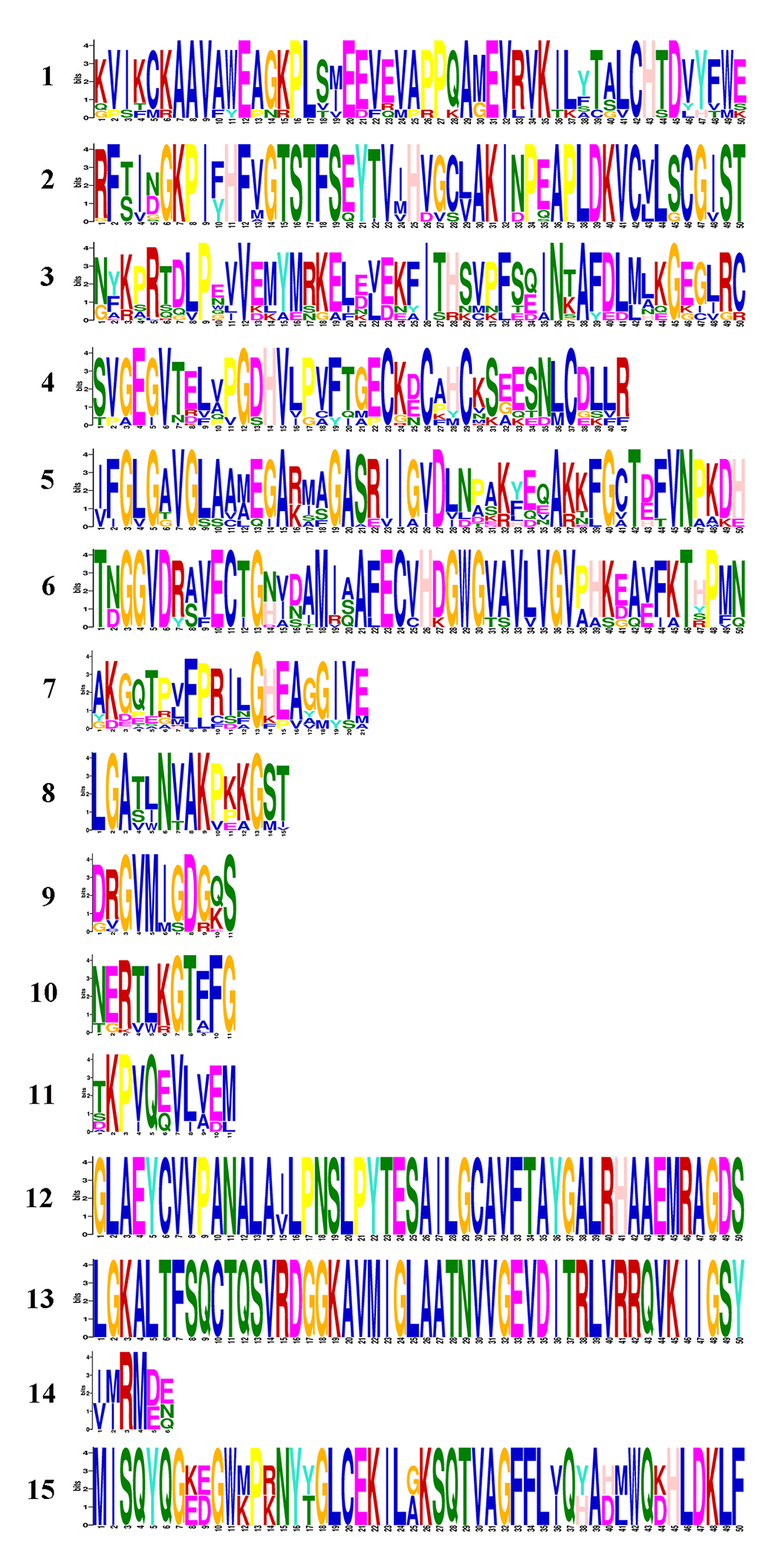 Genome-wide identification of alcohol dehydrogenase (ADH) gene family ...
