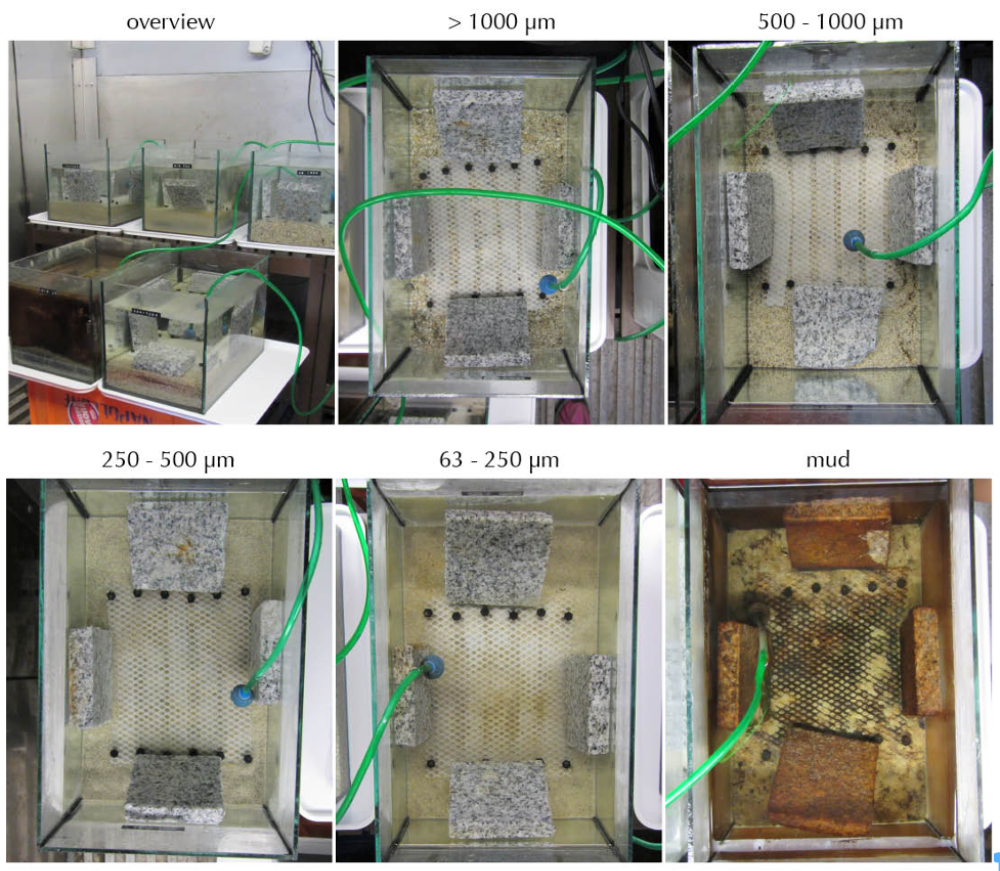 Disintegration half-life of biodegradable plastic films on different ...