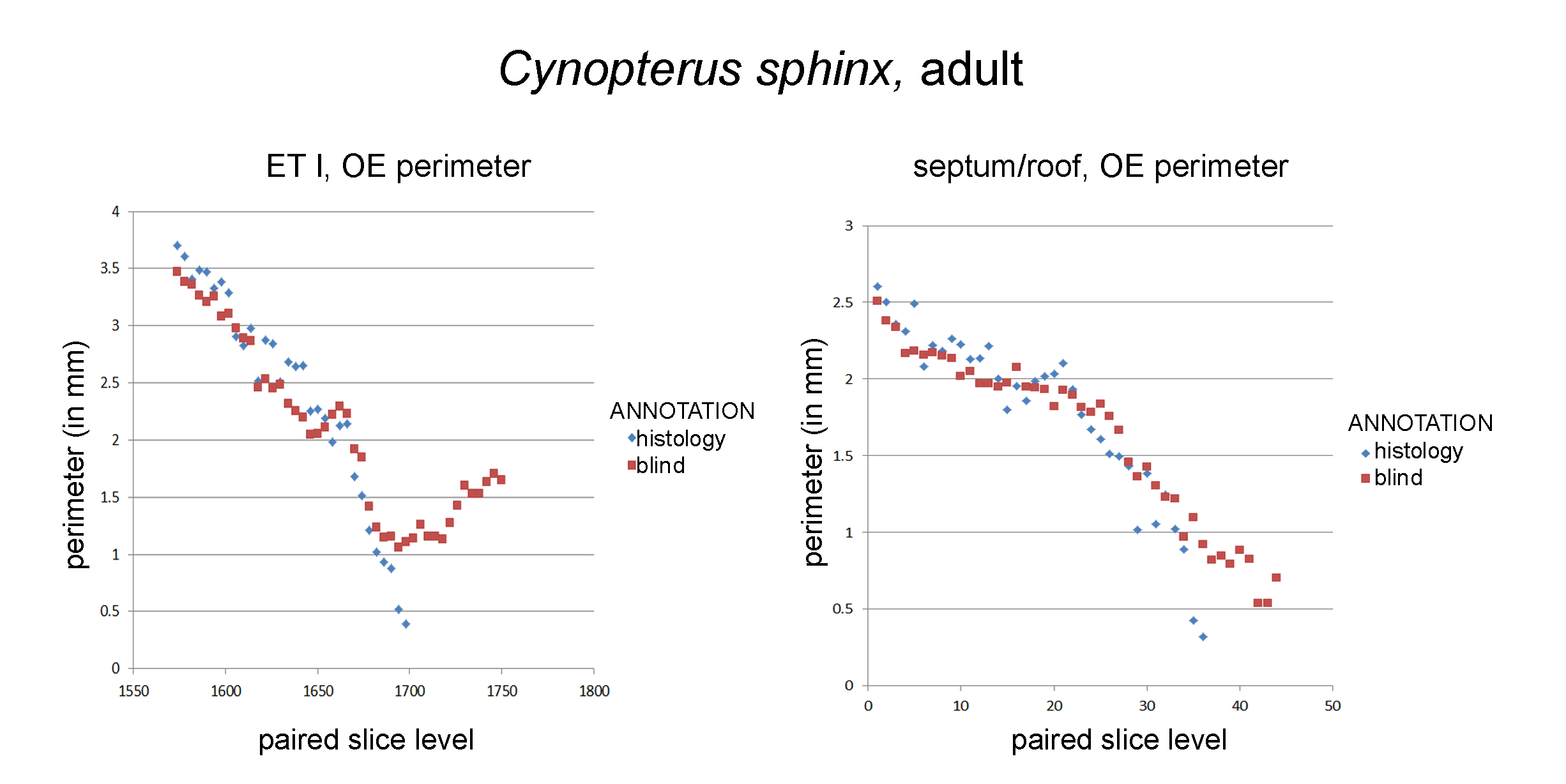 A comparison of diceCT and histology for determination of nasal ...