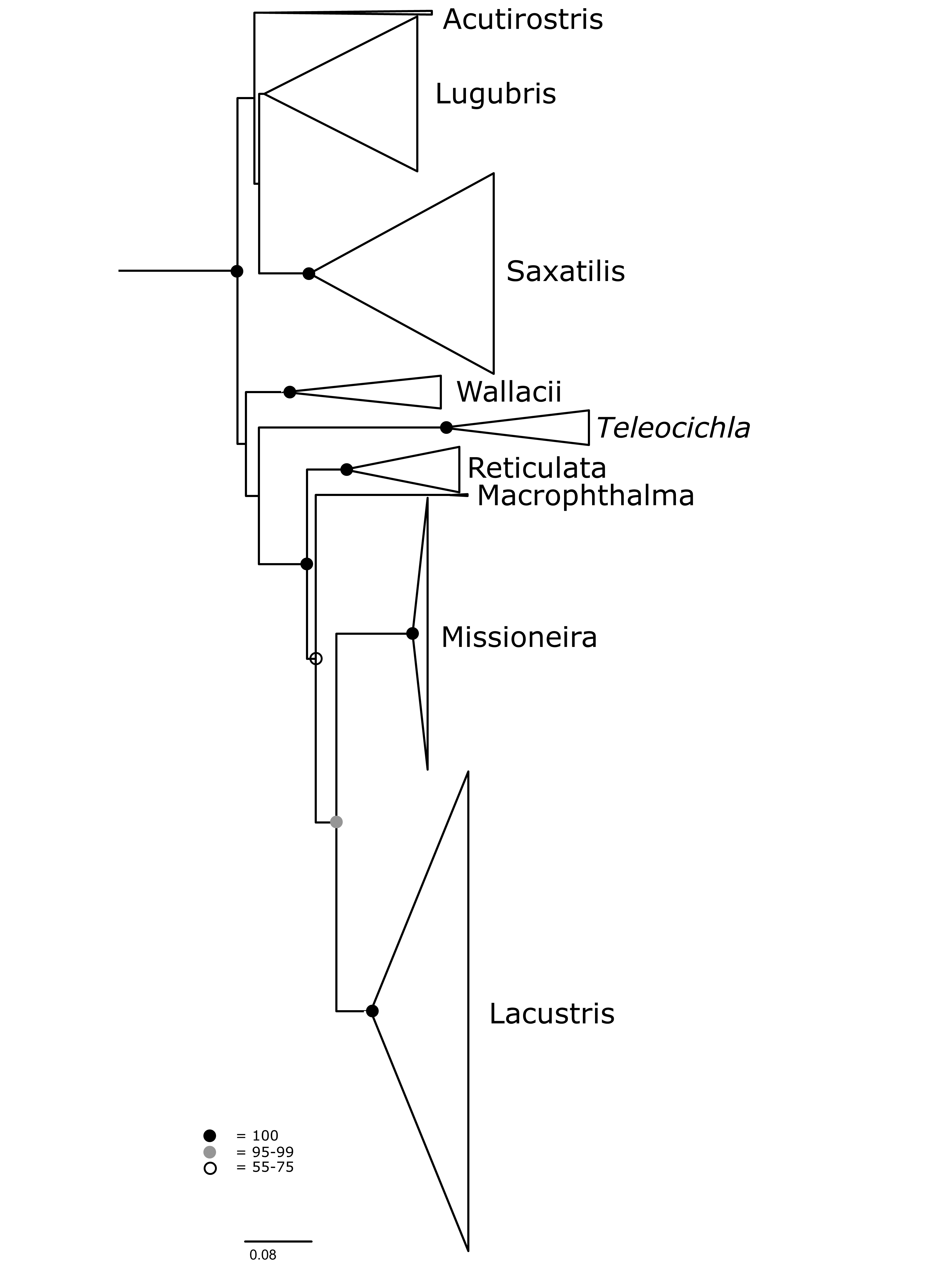 MtDNA species-level phylogeny and delimitation support significantly ...