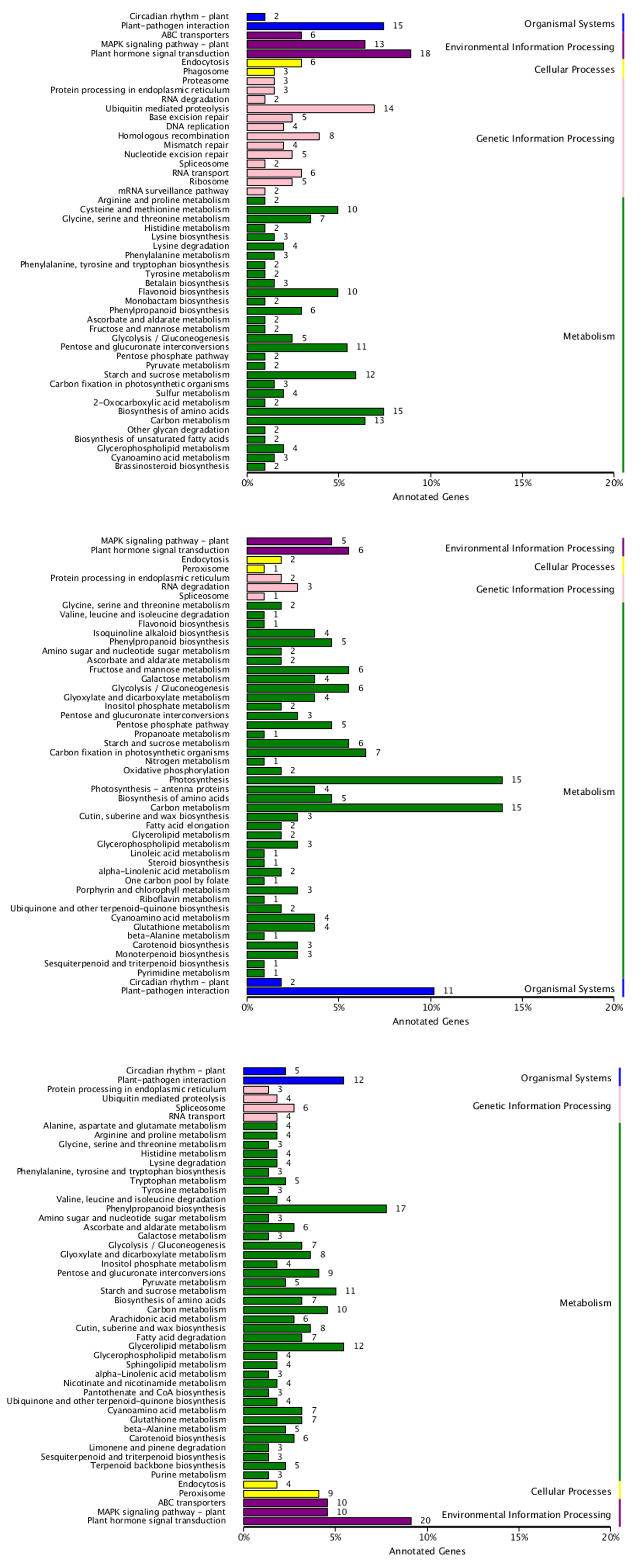 Comparative Transcriptomic Analysis Provides Insight Into Carpel
