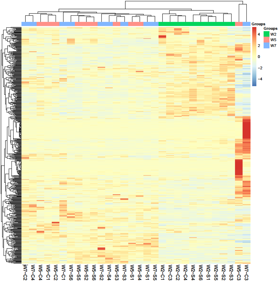Changes in the urinary proteome in rats with regular swimming exercise ...