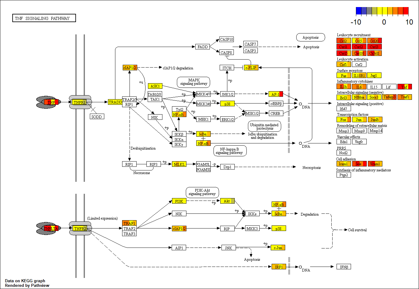Development of a bioinformatics platform for analysis of quantitative ...