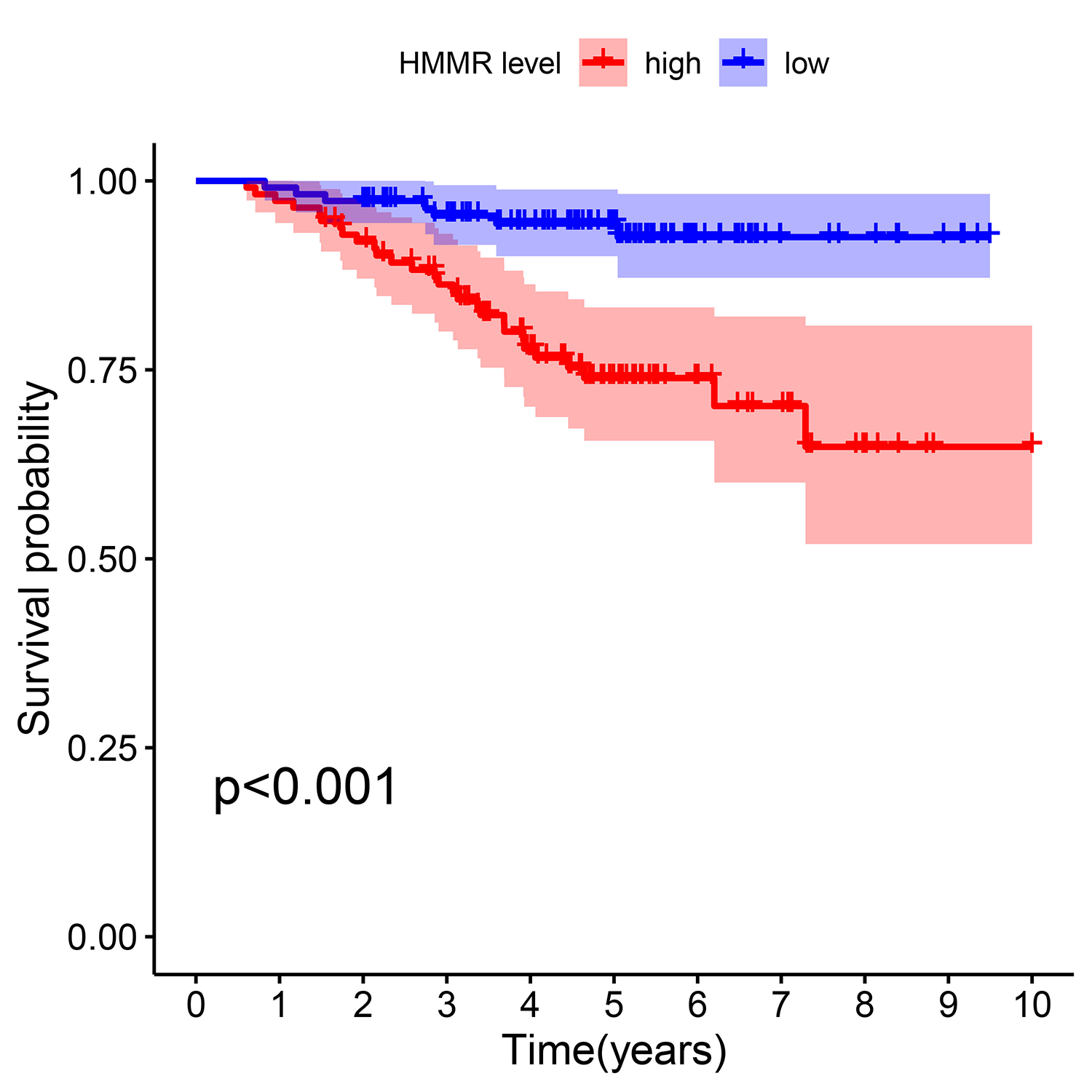 Identification of HMMR as a prognostic biomarker for patients with lung ...