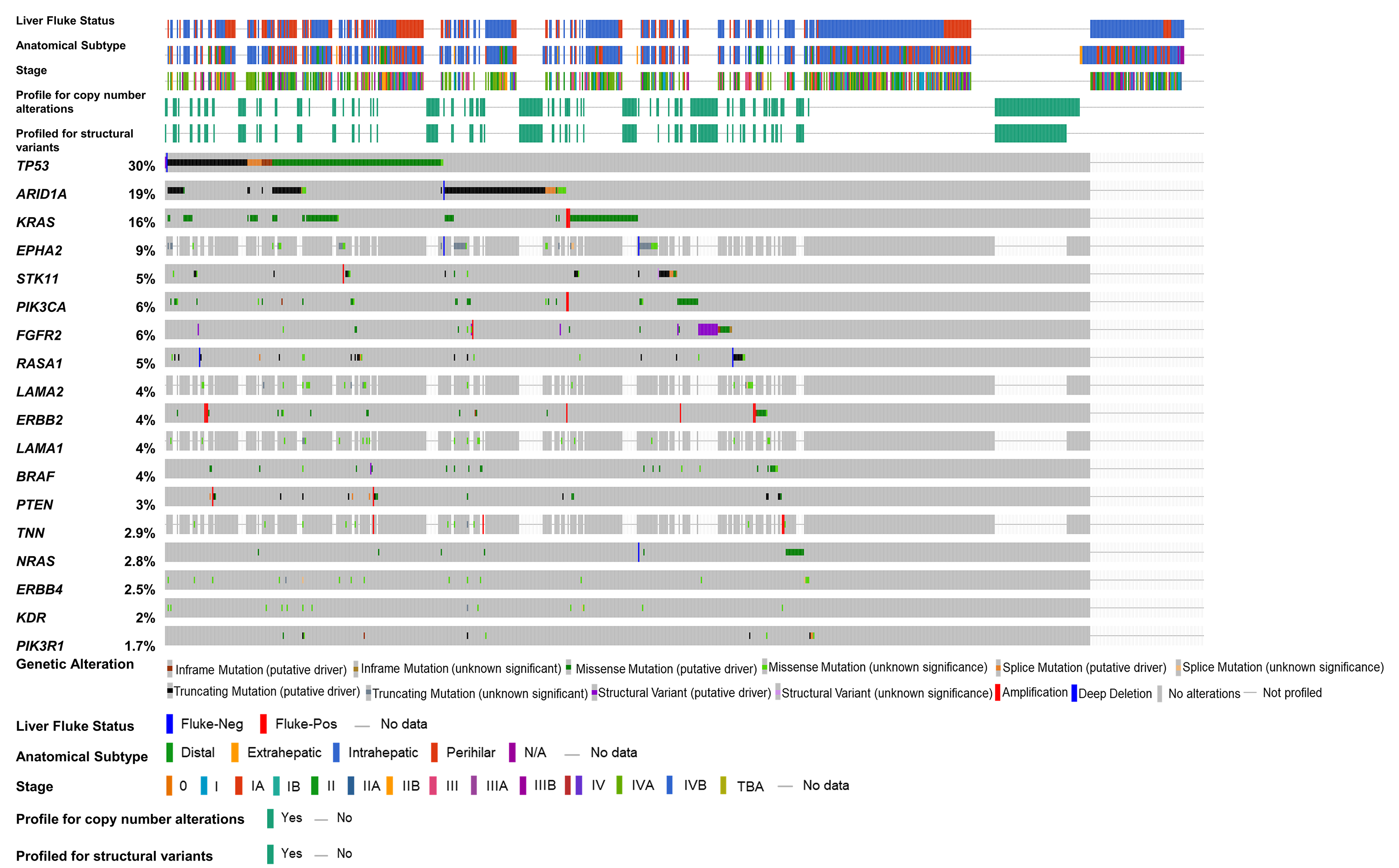 Therapeutic targeting of ARID1A and PI3K/AKT pathway alterations in ...