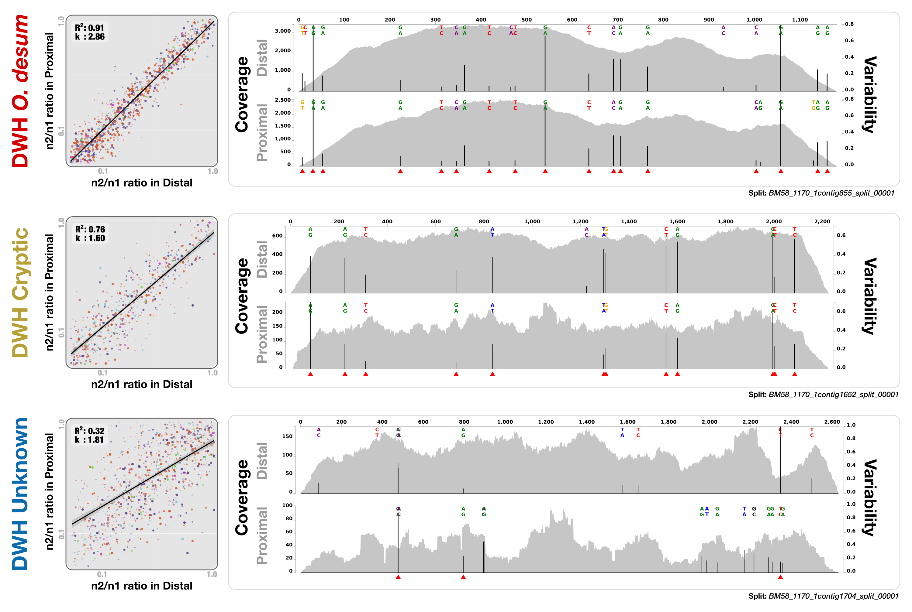 Anvi’o: an advanced analysis and visualization platform for ‘omics data [PeerJ]