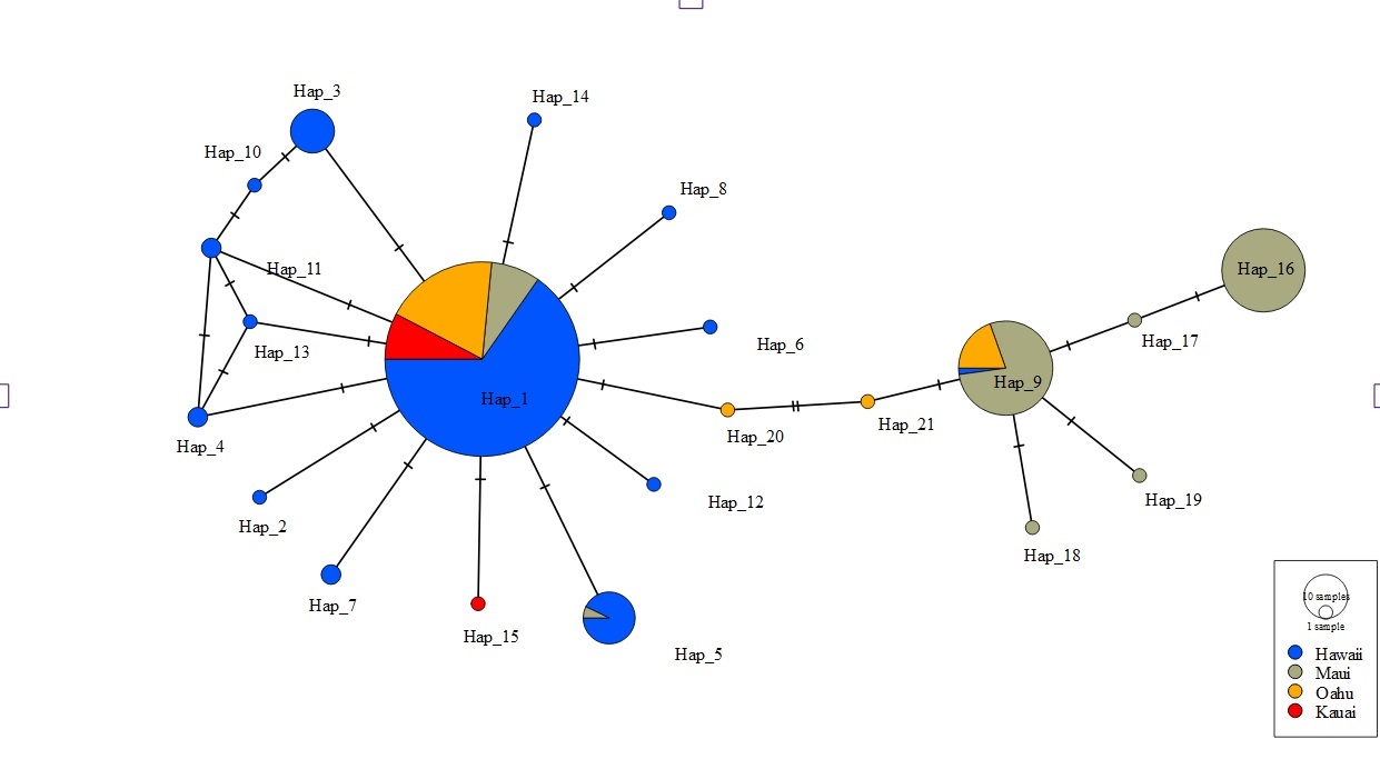 Genetic diversity, structure, and effective population size of an ...