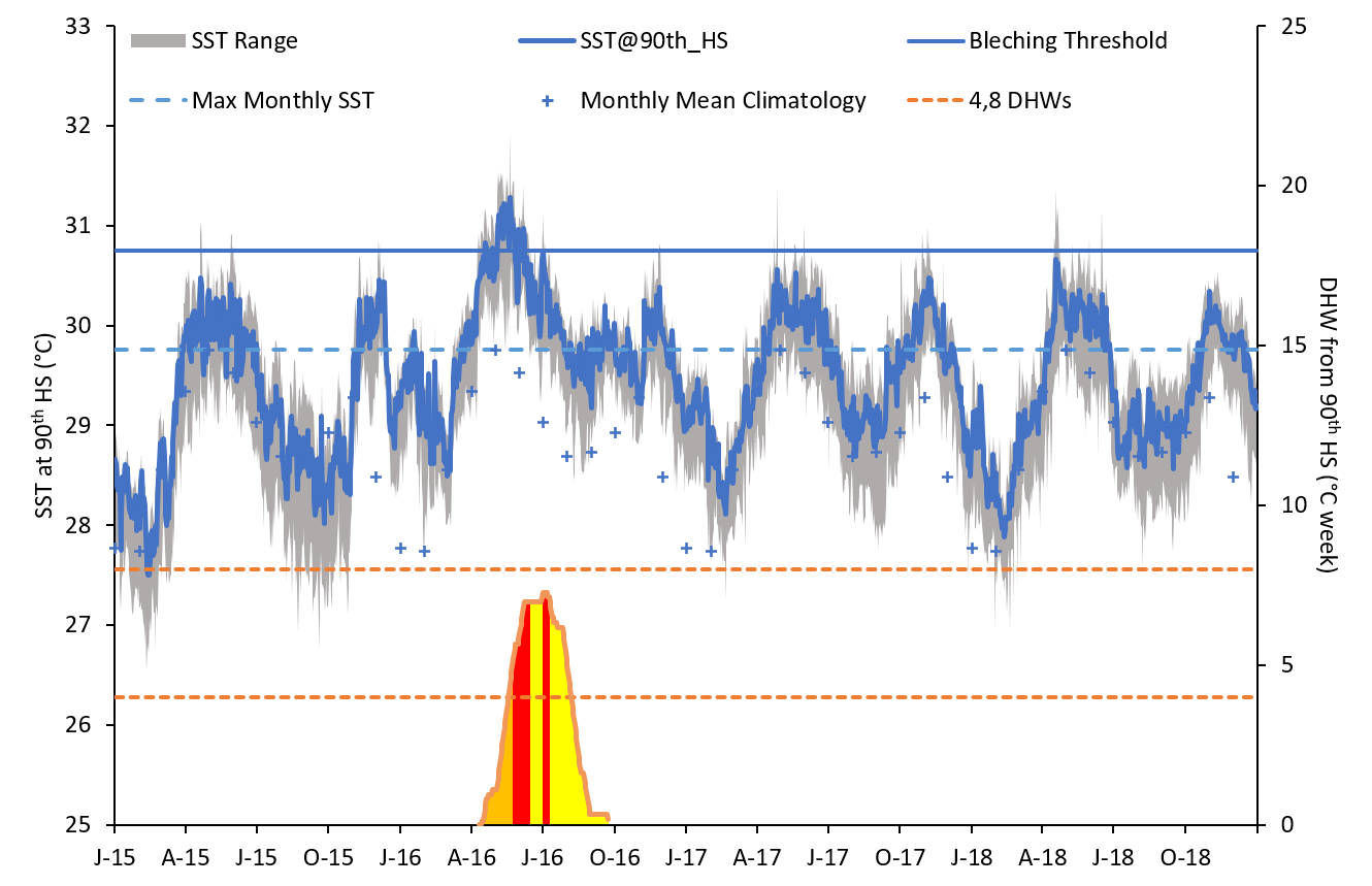 Species richness and the dynamics of coral cover in Bangka Belitung ...