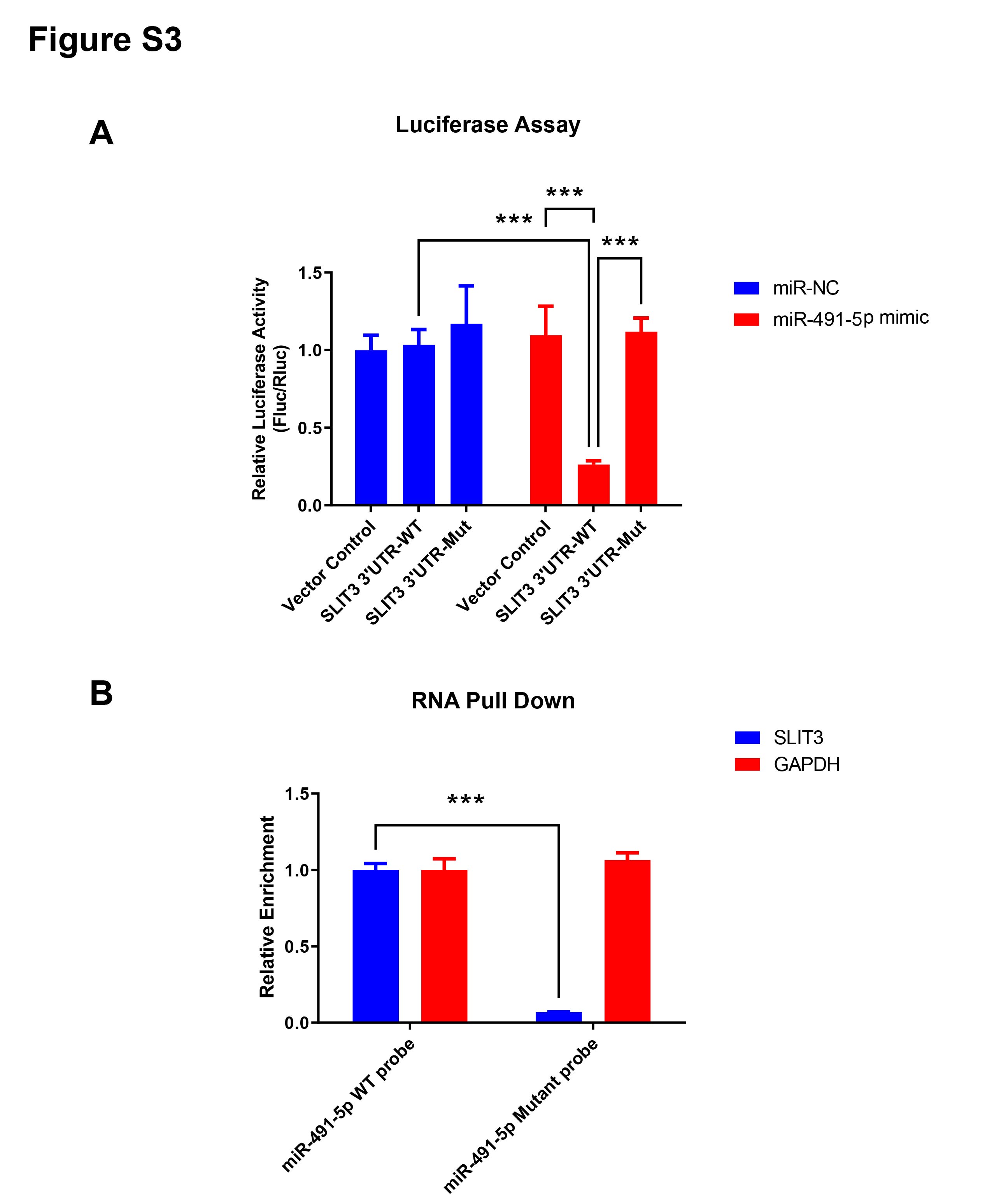 Abnormal expression of SLIT3 induces intravillous vascularization ...