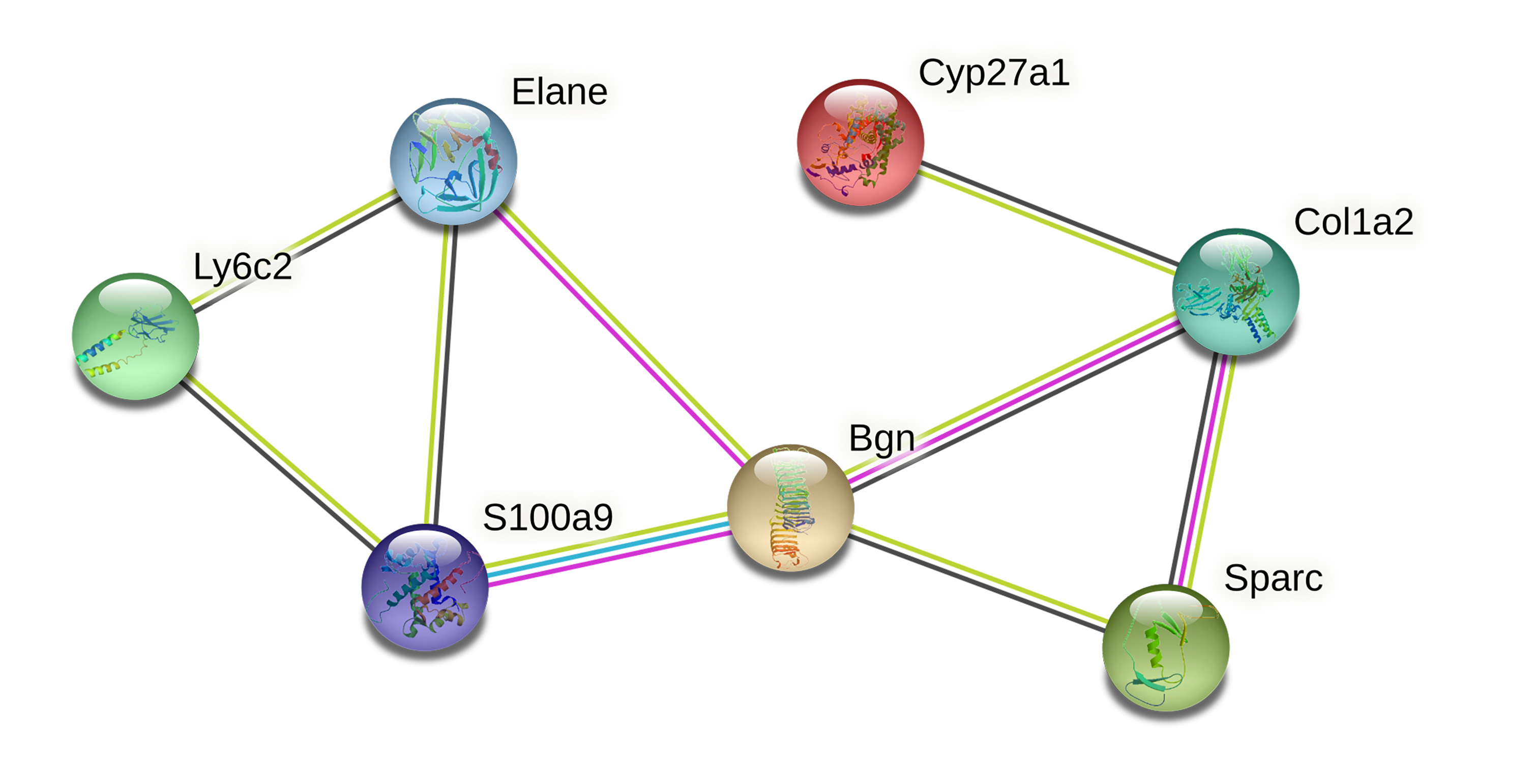 CYP27A1 deficiency promoted osteoclast differentiation [PeerJ]