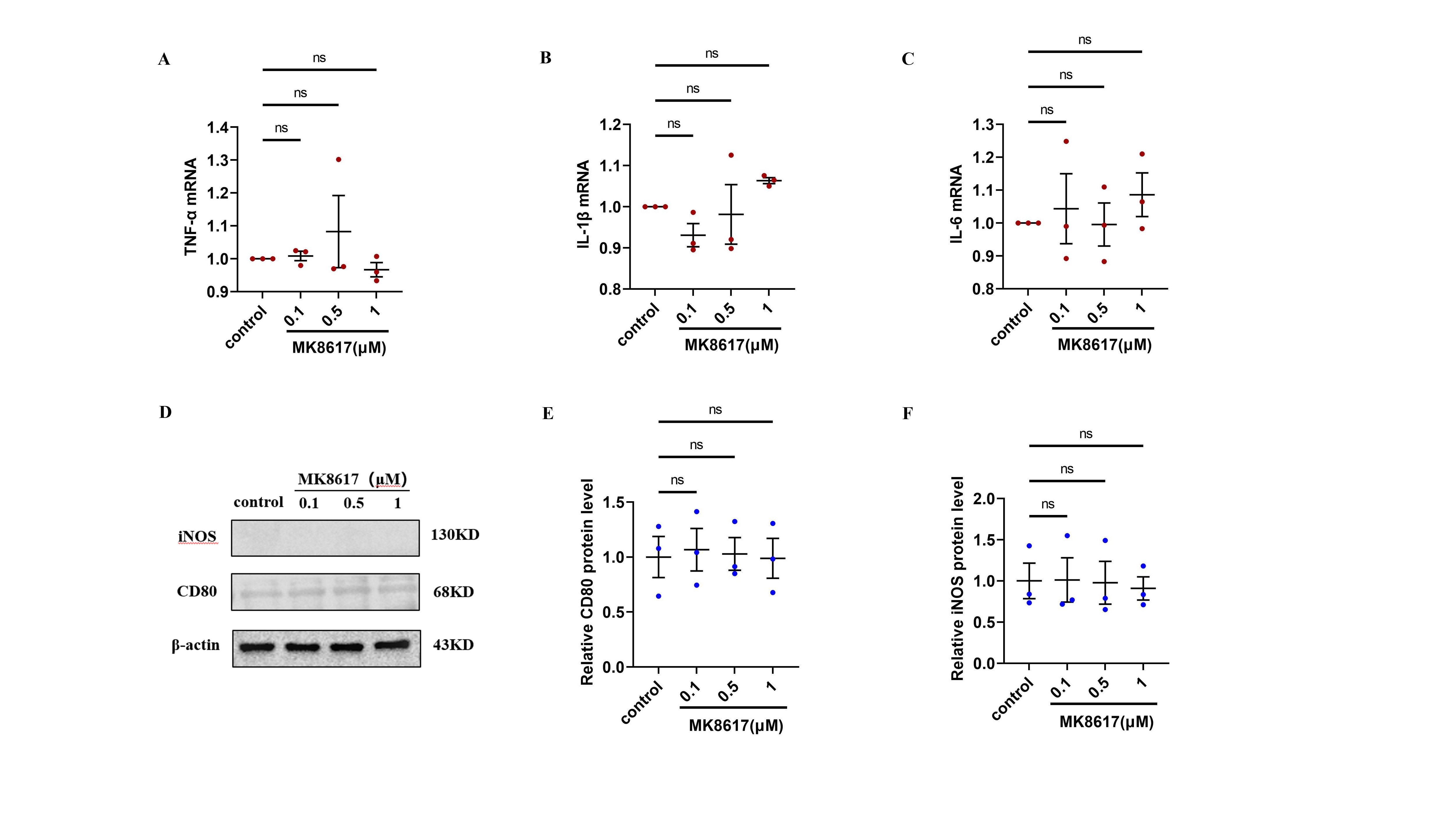 MK8617 inhibits M1 macrophage polarization and inflammation via the HIF ...