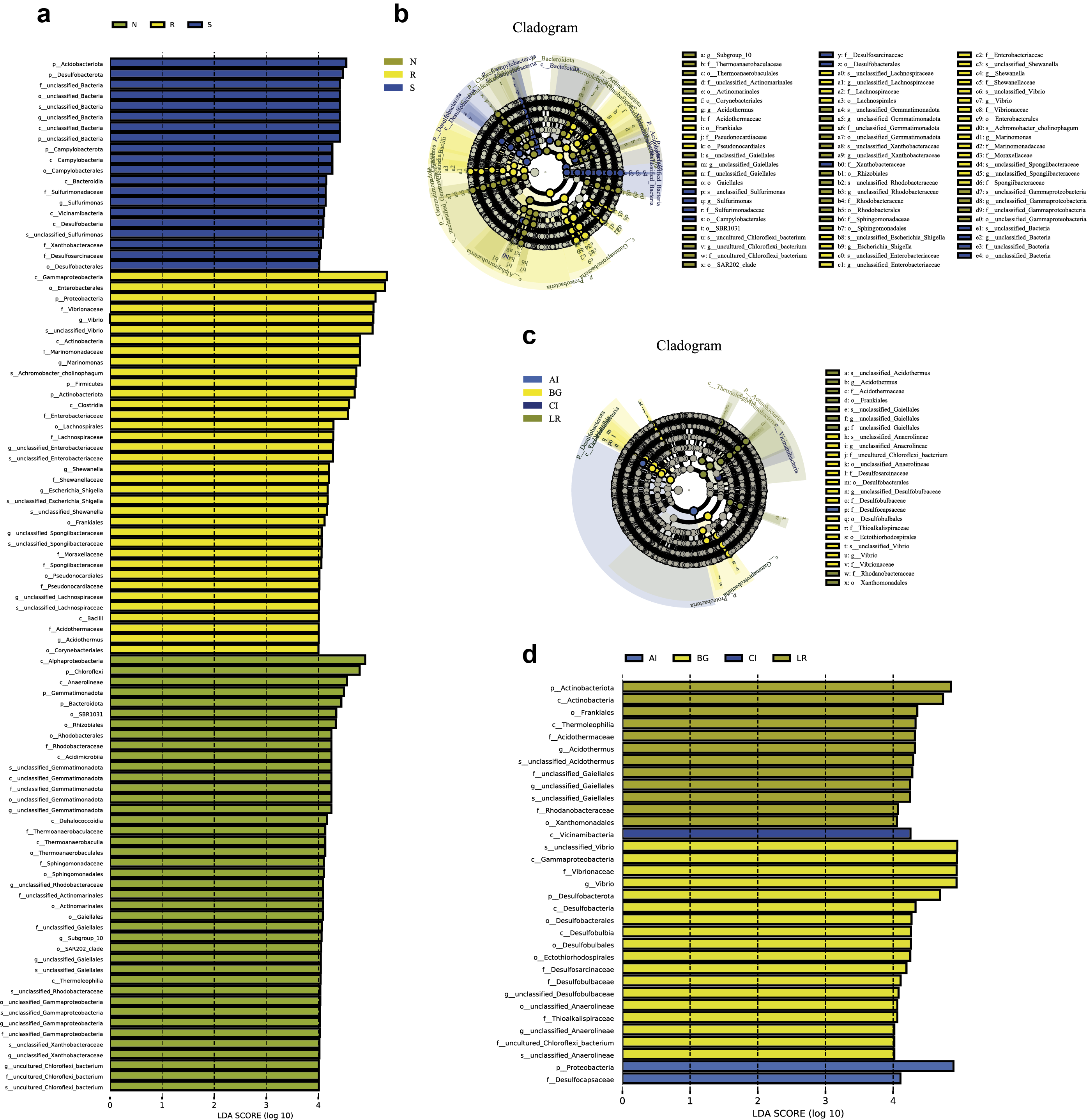 Diversity and structure of the root-associated bacterial microbiomes of four mangrove tree ...