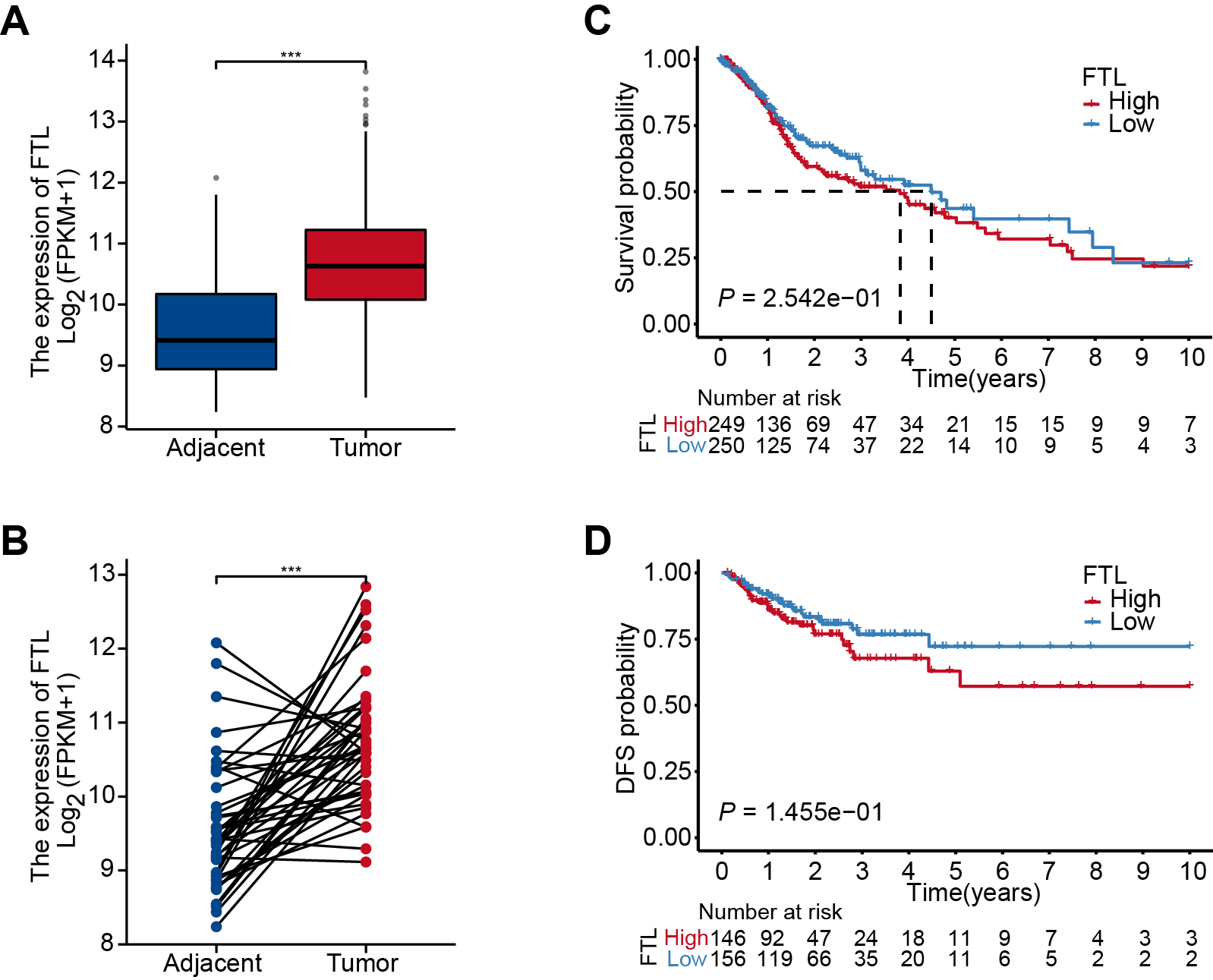 FTH1 indicates poor prognosis and promotes metastasis in head and neck ...