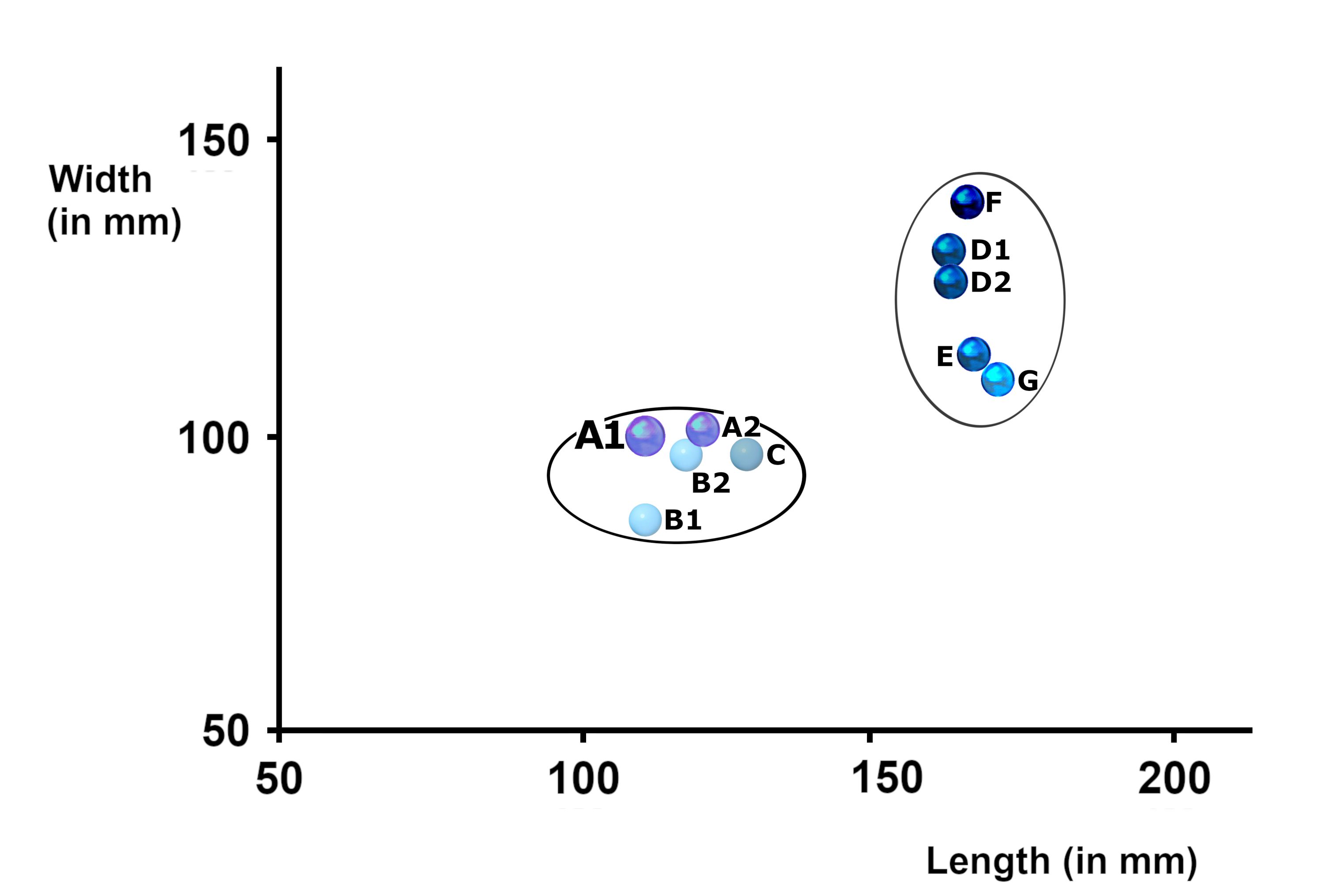 A vertebra of a small species of Pachycetus from the North Sea and its ...