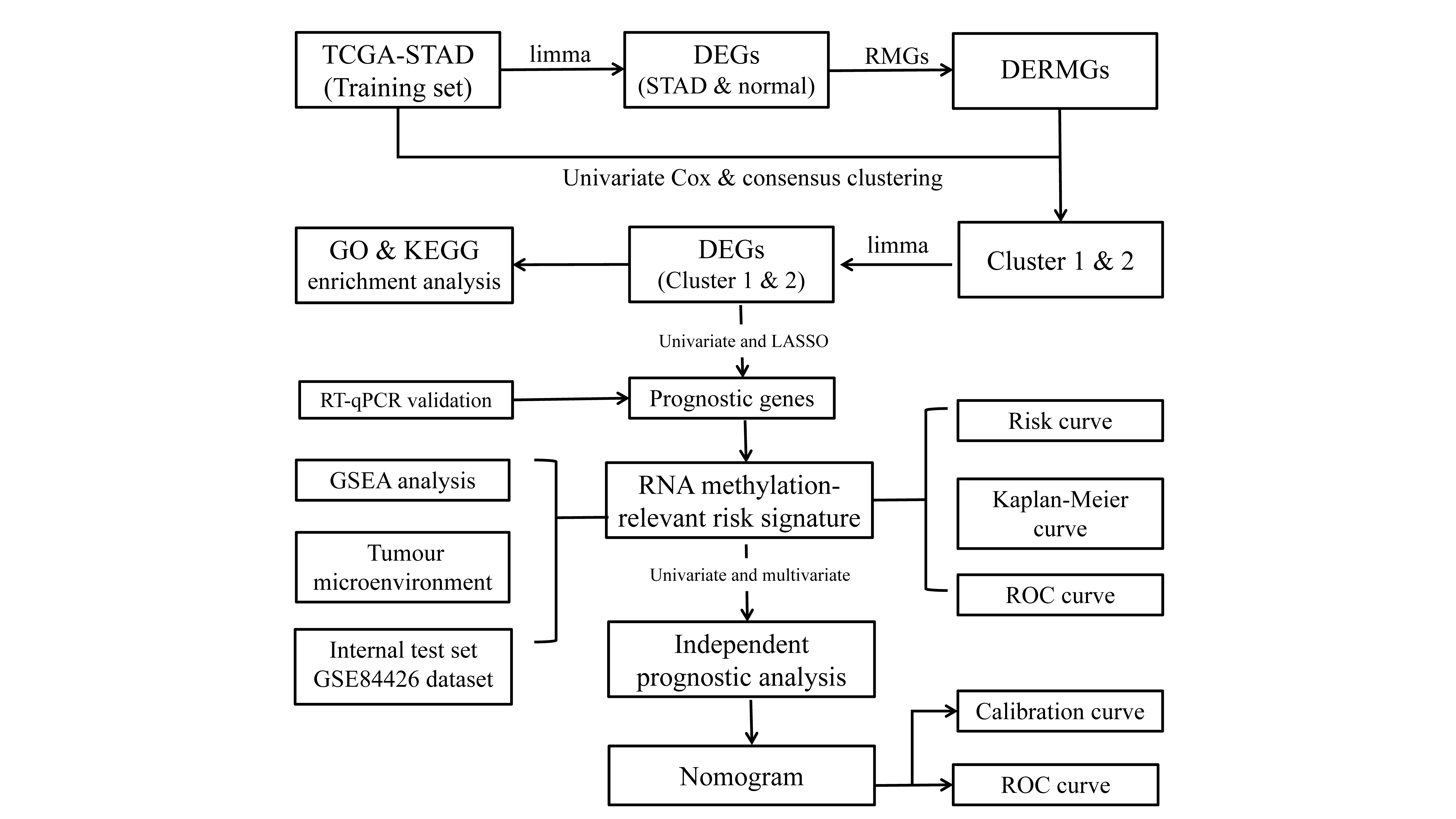 Prognostic Value Of Rna Methylation Related Genes In Gastric Adenocarcinoma Based On