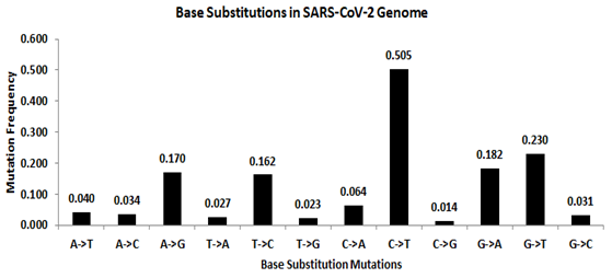 High frequency of transition to transversion ratio in the stem region of RNA secondary structure ...