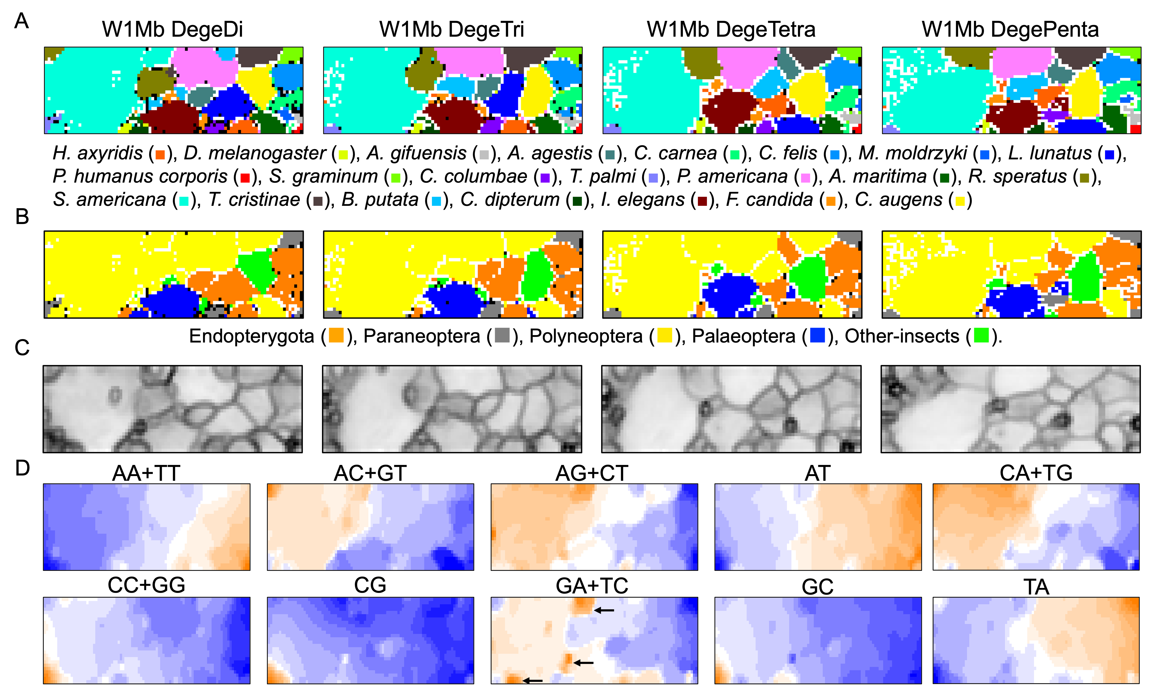 Unsupervised AI reveals insect species-specific genome signatures [PeerJ]