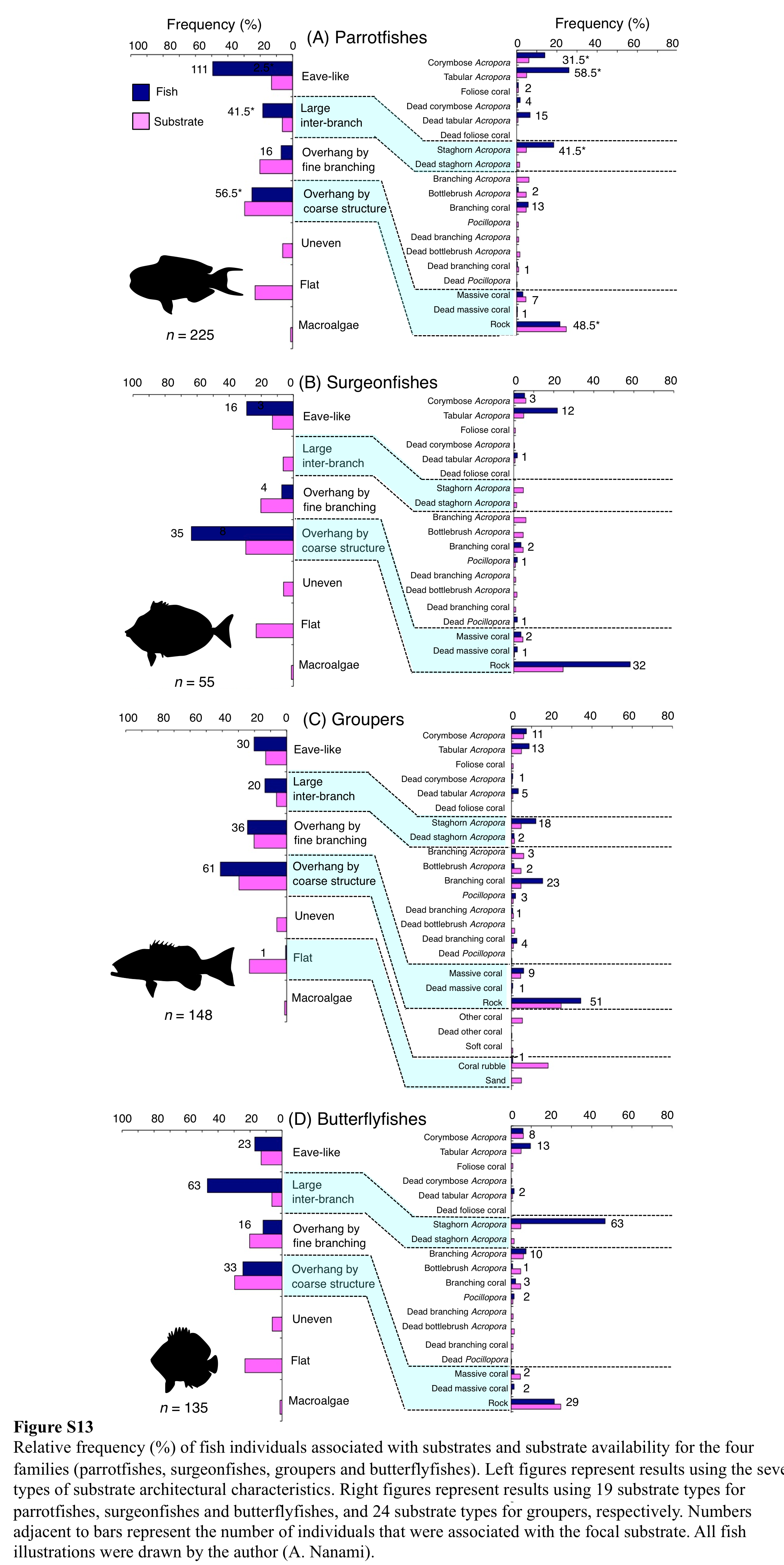 Nocturnal substrate association of four coral reef fish groups ...