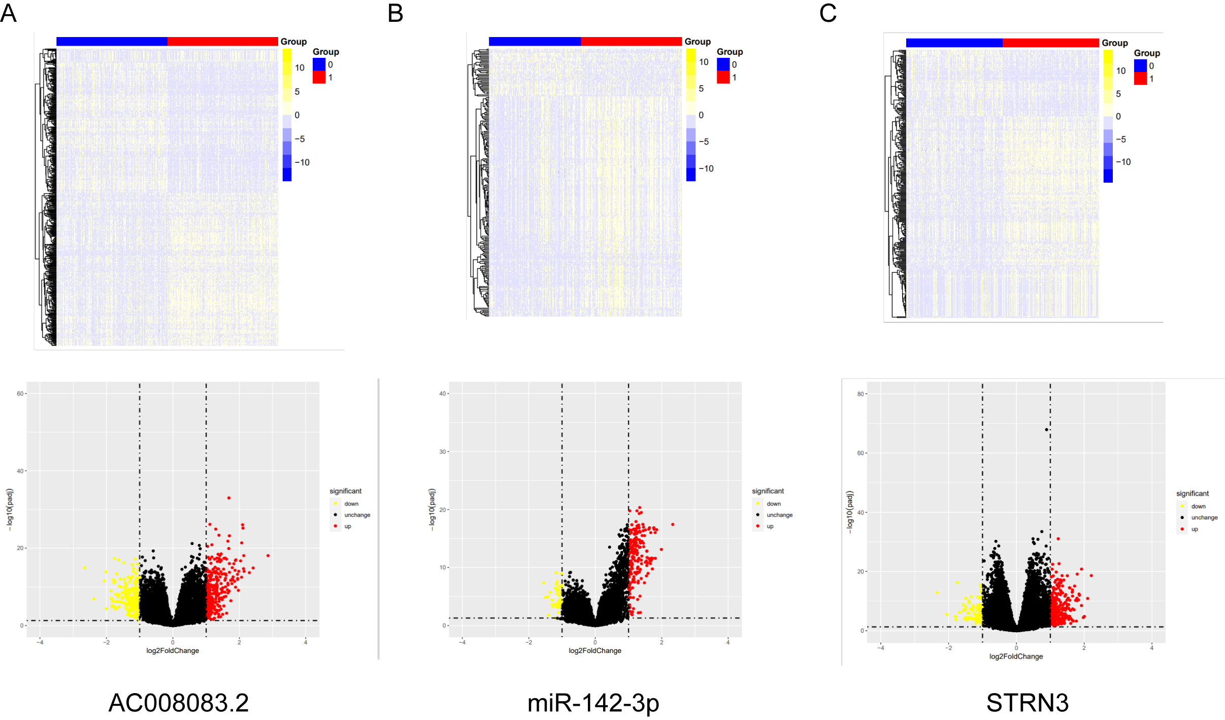 Cuproptosis related ceRNA axis AC008083.2/miR-142-3p promotes the ...