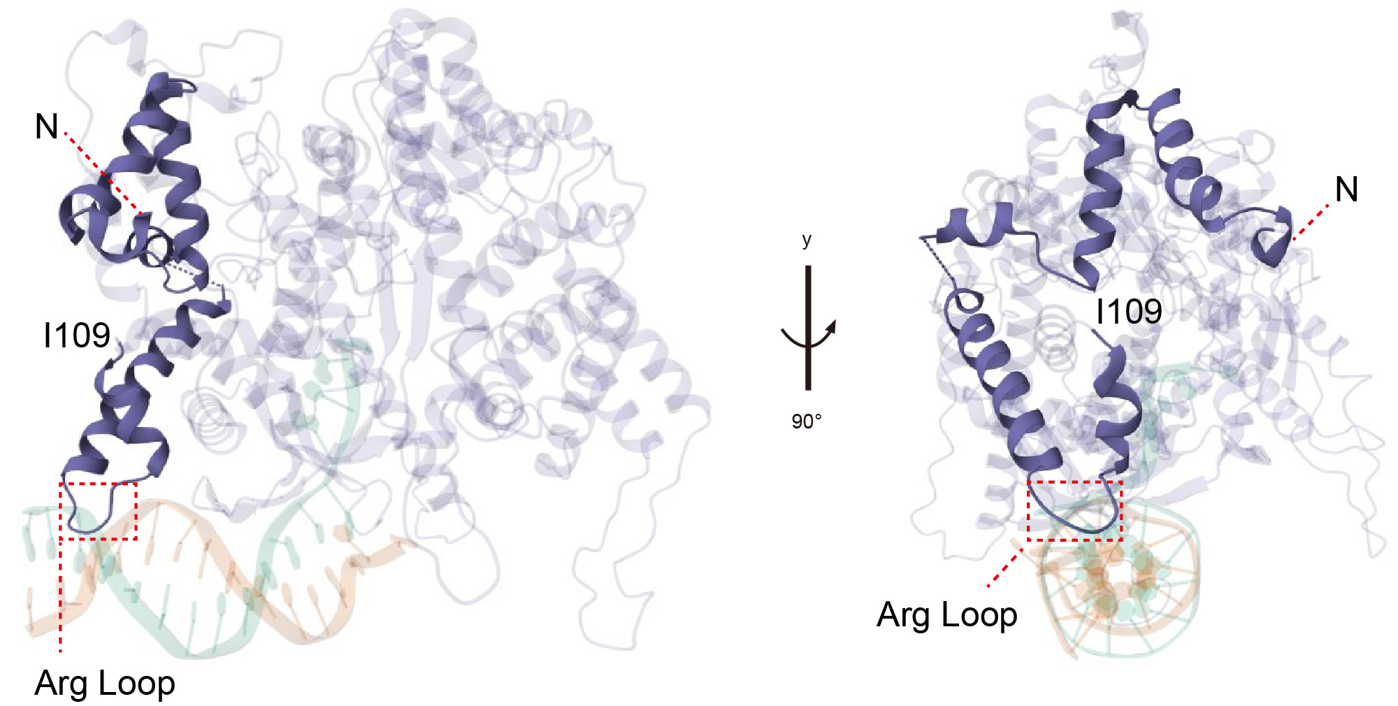 Agrochemical control of gene expression using evolved split RNA ...
