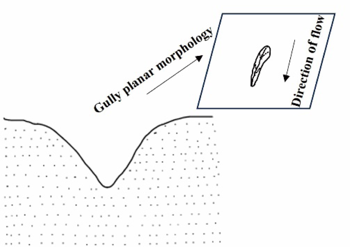 Characteristics and development of steepland gullies in the dry valleys ...