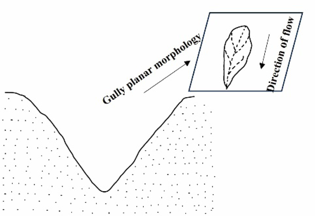 Characteristics and development of steepland gullies in the dry valleys ...