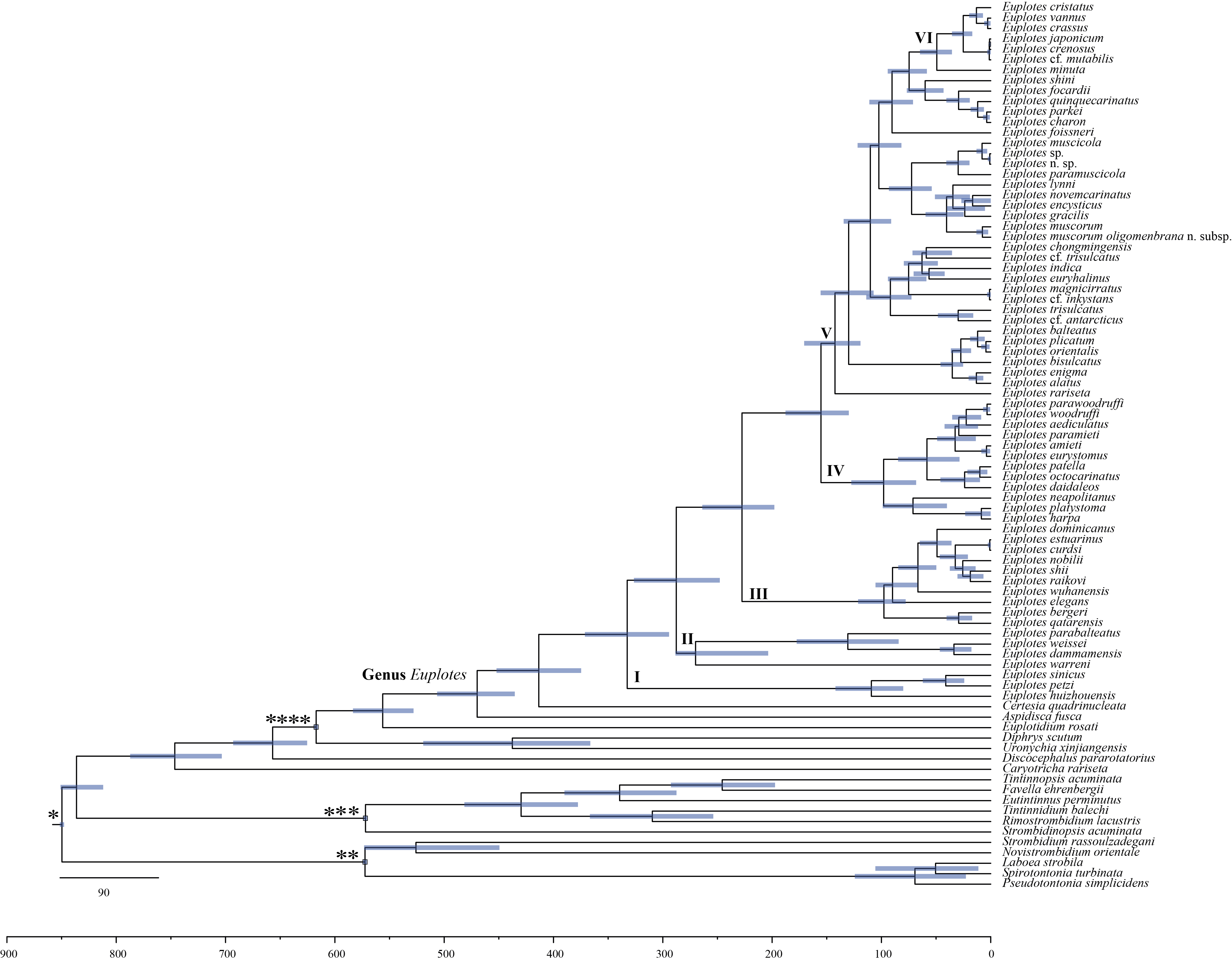 Evolutionary patterns of the SSU rRNA (V4 region) secondary structure ...