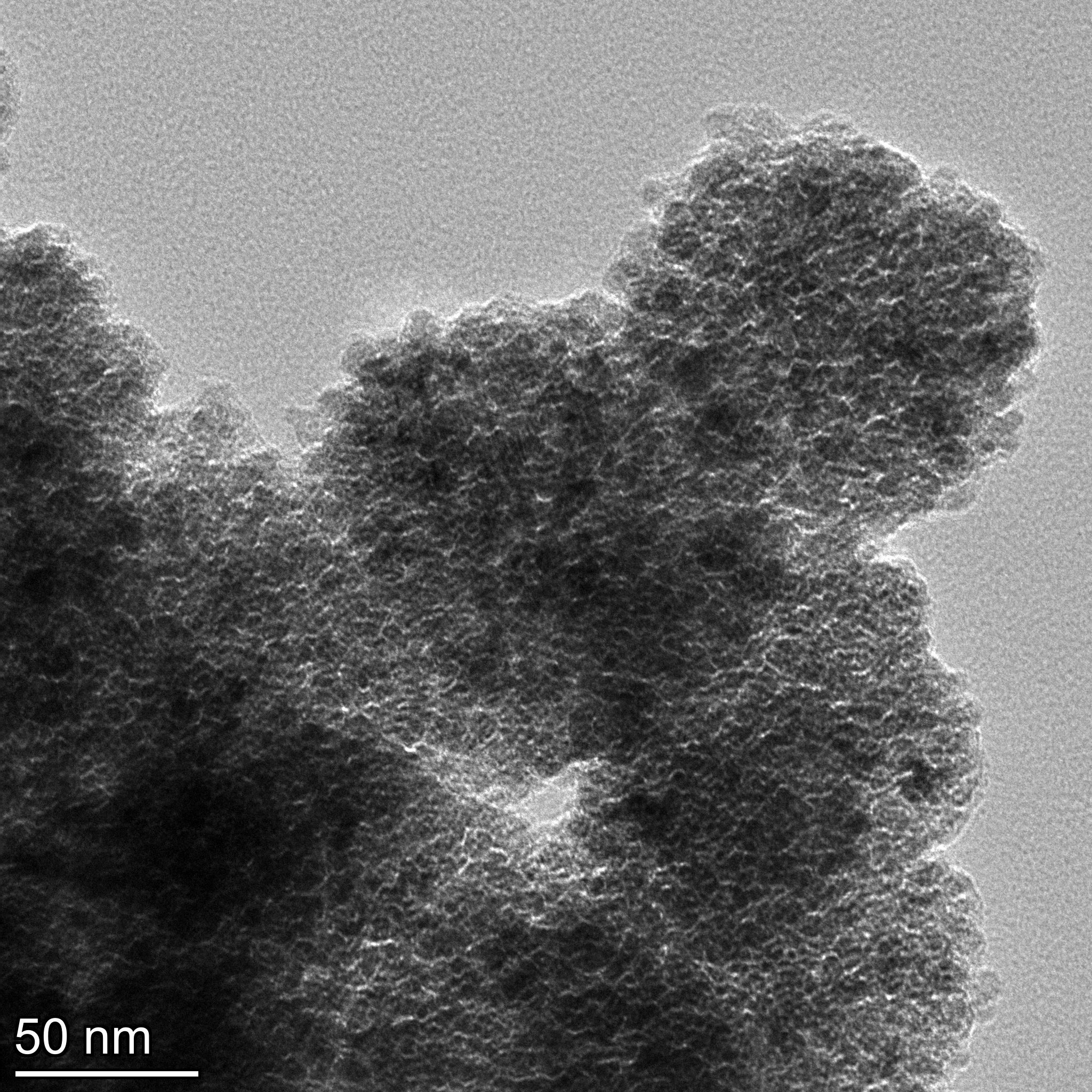 SplintR ligation-triggered in-situ rolling circle amplification on ...