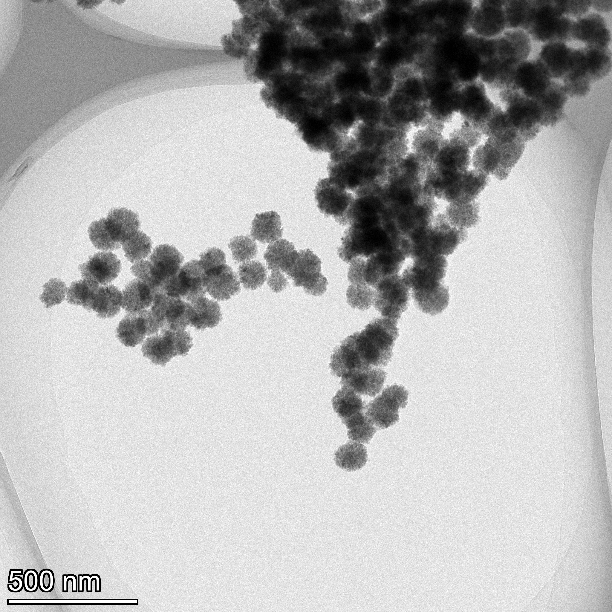SplintR ligation-triggered in-situ rolling circle amplification on ...