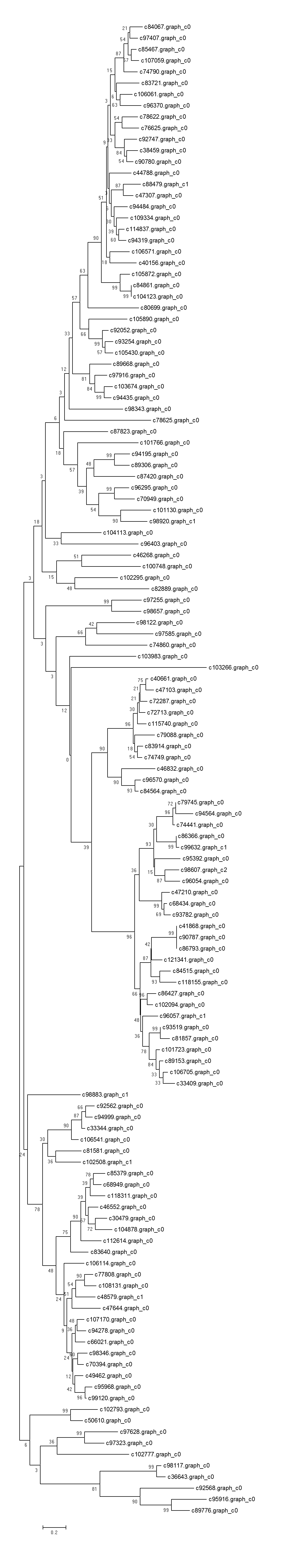 Transcriptome analysis of immature xylem in the Chinese fir at ...