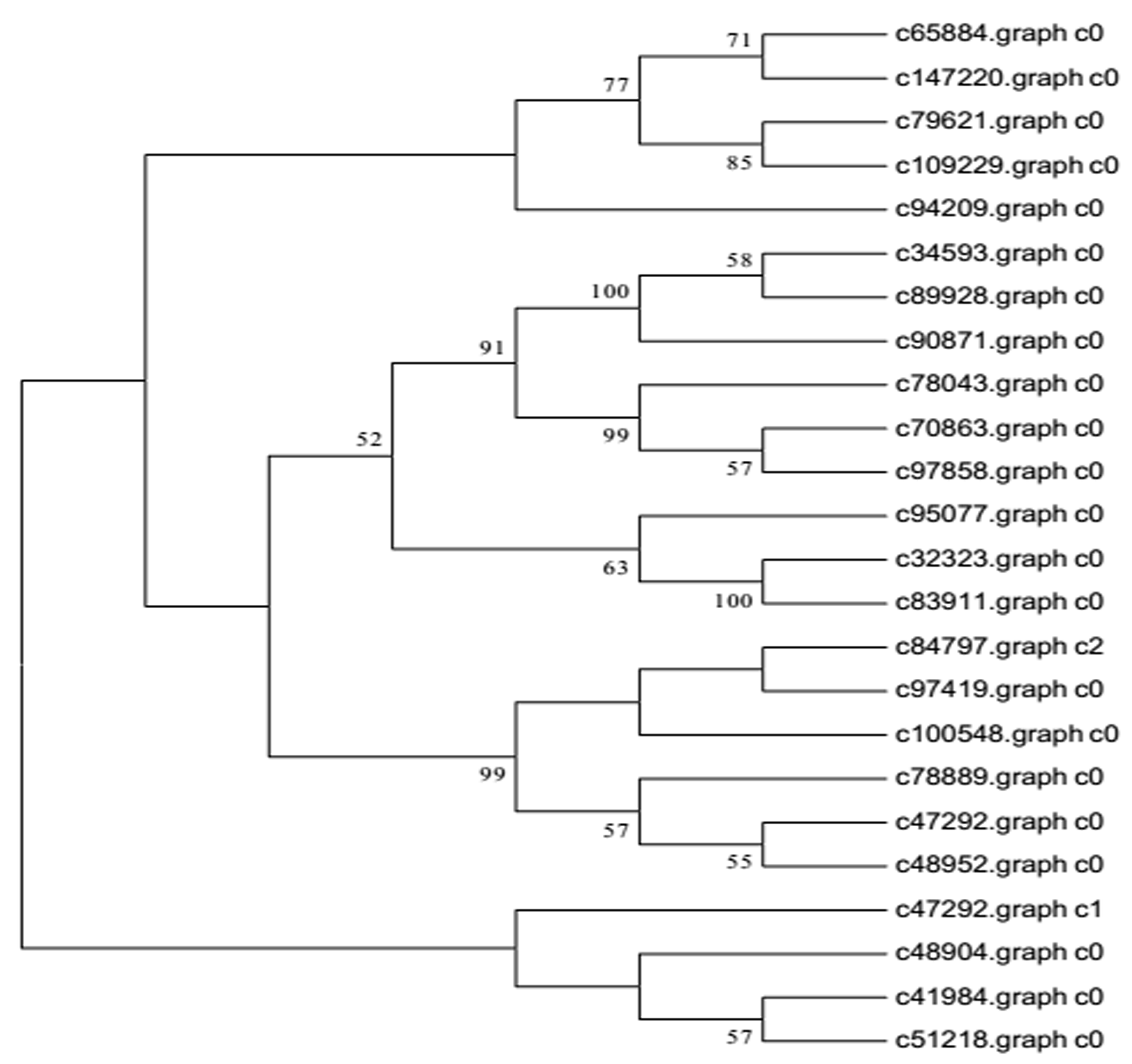 Transcriptome analysis of immature xylem in the Chinese fir at ...
