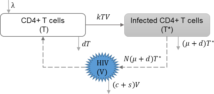 Multi-scale immunoepidemiological modeling of within-host and between-host HIV dynamics ...