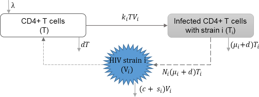 Multi-scale immunoepidemiological modeling of within-host and between-host HIV dynamics ...