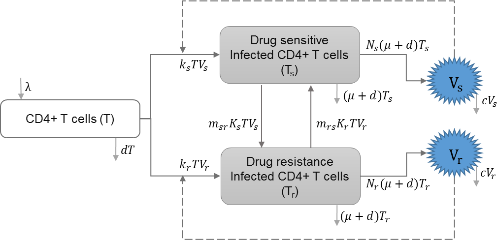 Multi-scale immunoepidemiological modeling of within-host and between-host HIV dynamics ...