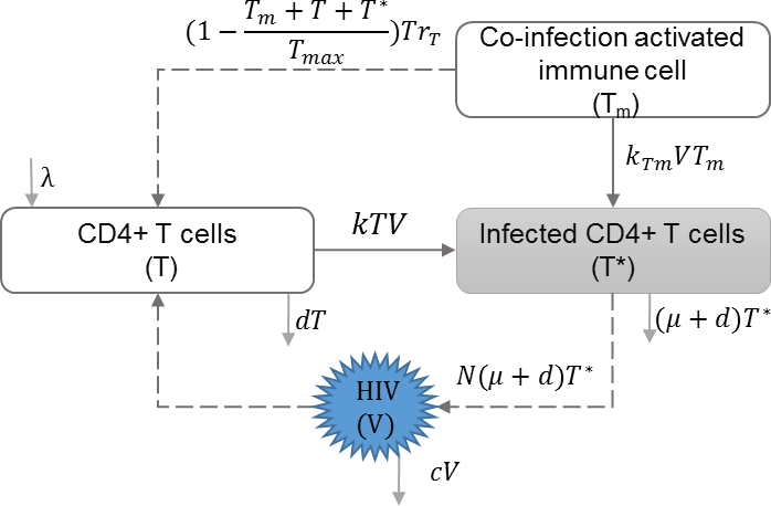 Multi-scale immunoepidemiological modeling of within-host and between-host HIV dynamics ...