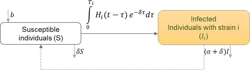 Multi-scale immunoepidemiological modeling of within-host and between-host HIV dynamics ...