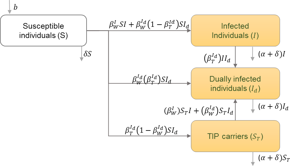 Multi-scale immunoepidemiological modeling of within-host and between-host HIV dynamics ...