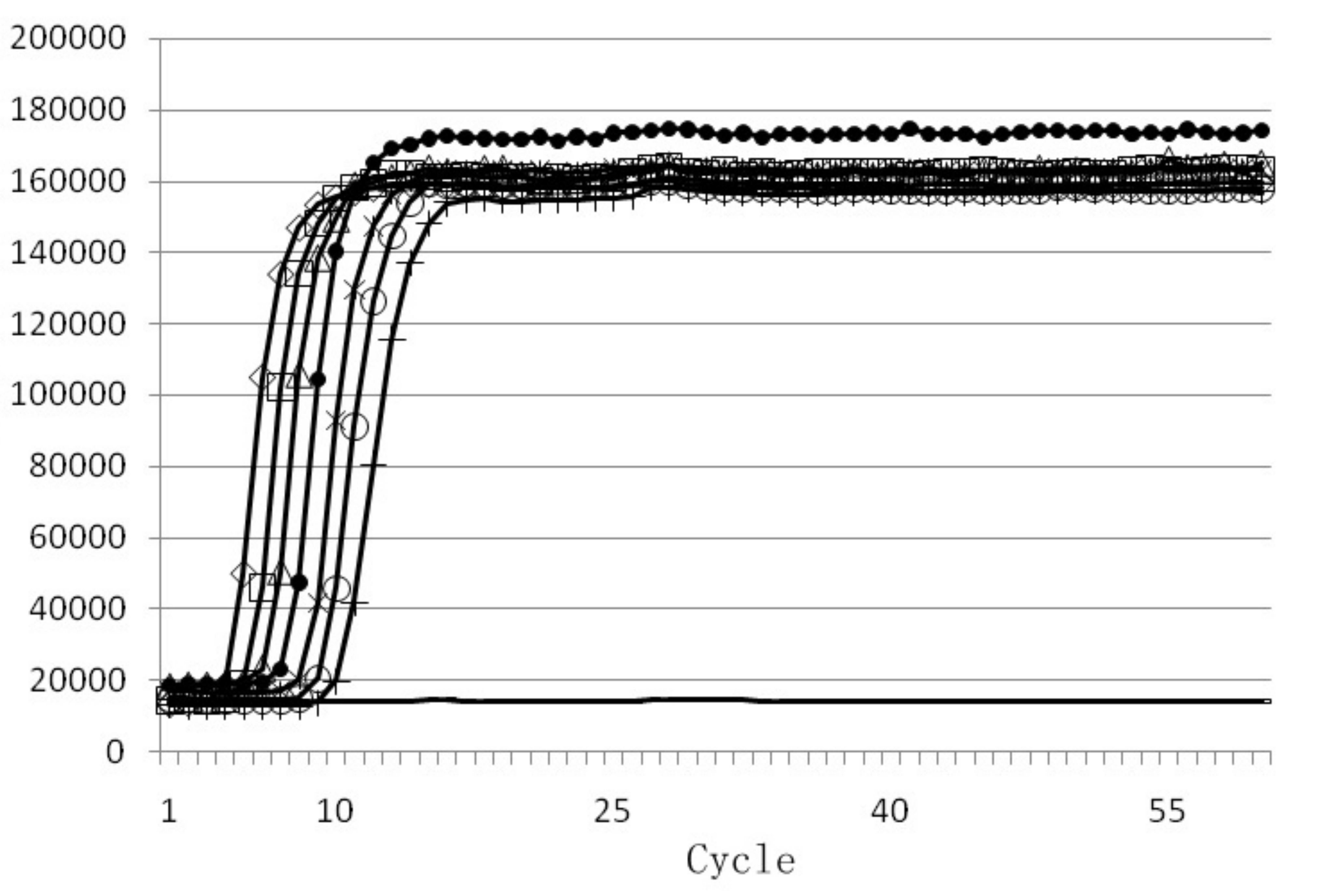 Real-time loop-mediated isothermal amplification for rapid detection of ...